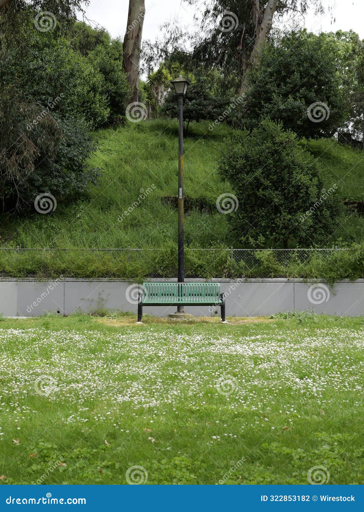 Park Bench and Light Pole in Front of the Grass Flower Field Stock ...