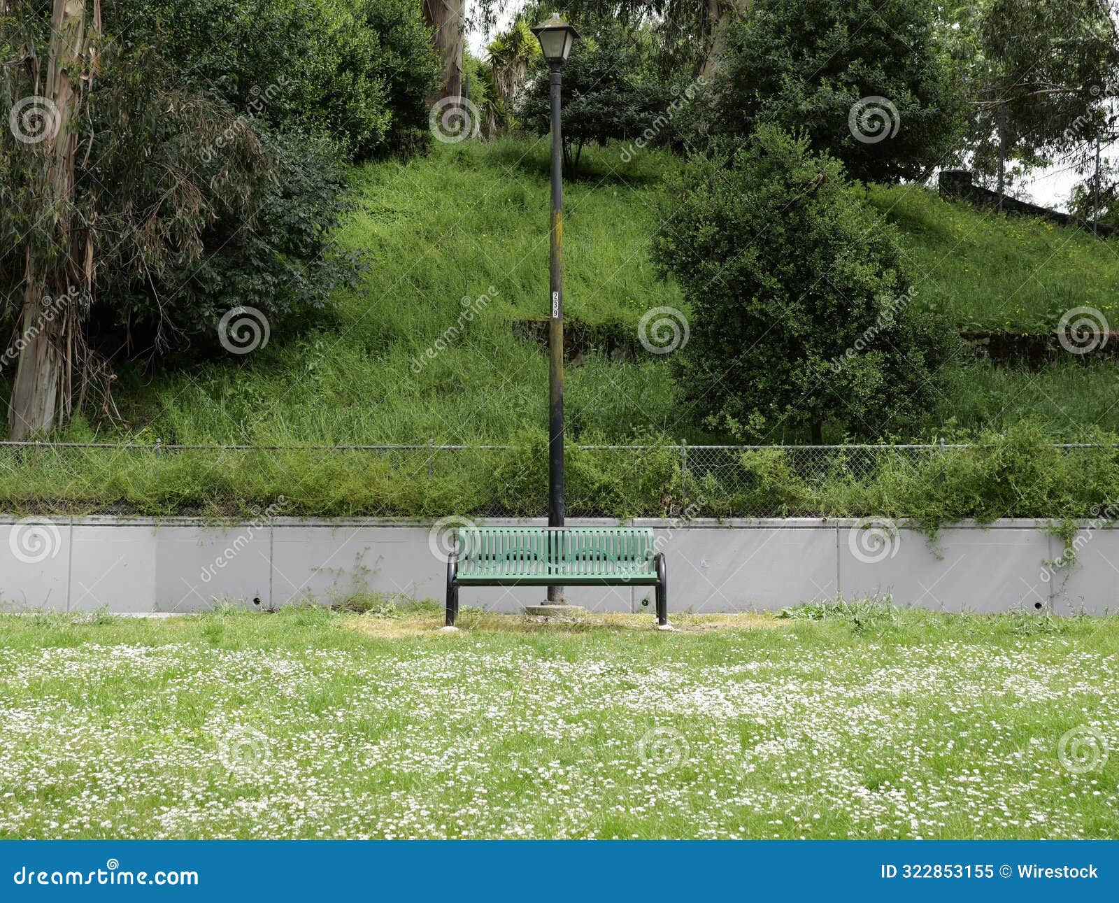 Park Bench and Light Pole, Wide Shot Stock Image - Image of green ...