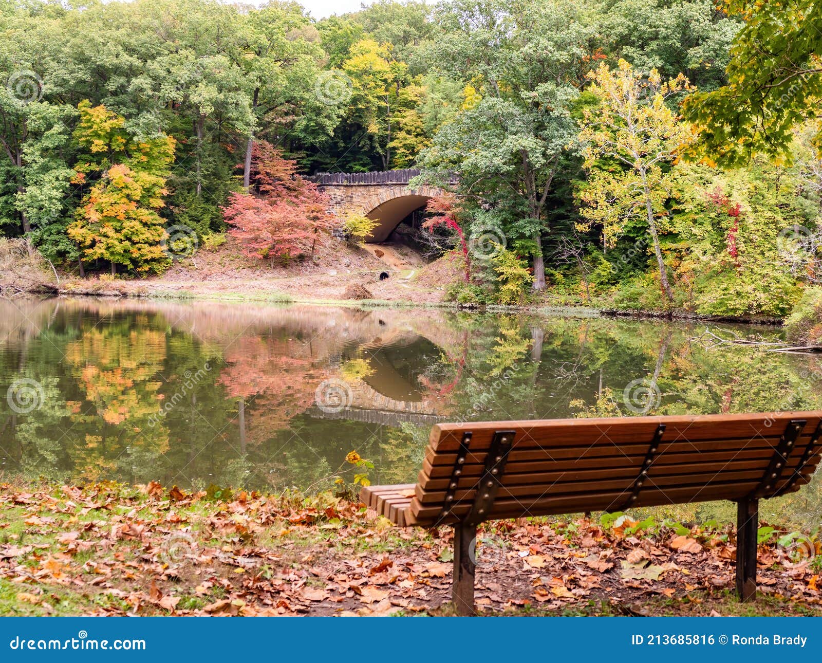 Park Bench Looking at River Stock Photo - Image of looking, colorful ...