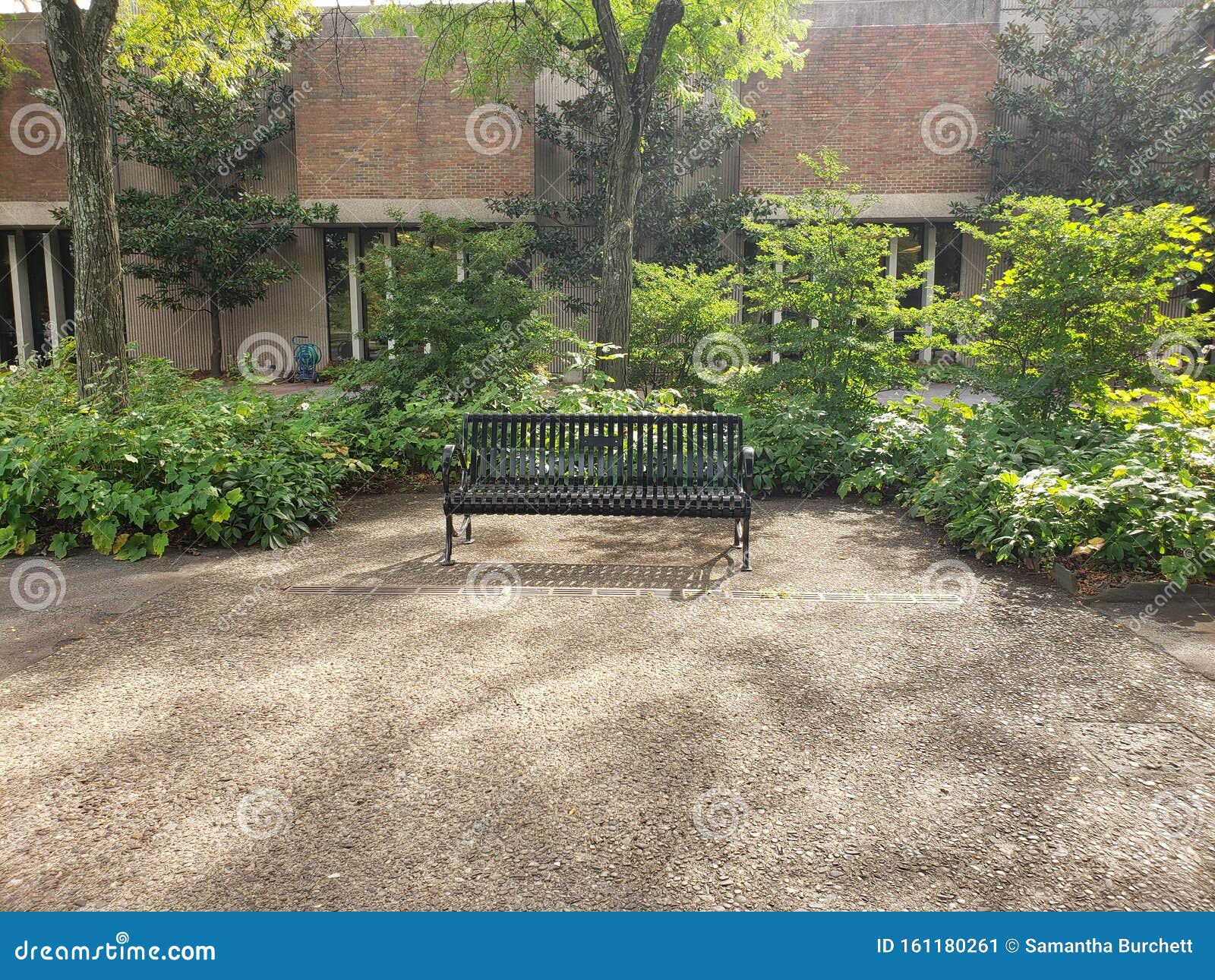 A Park Bench in the Middle of Campus for People To Sit and Take a Break ...
