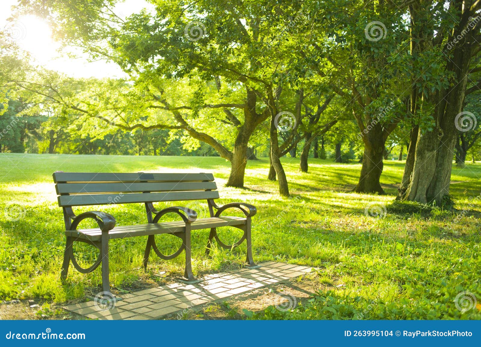 Park bench stock photo. Image of pasture, renewable - 263995104