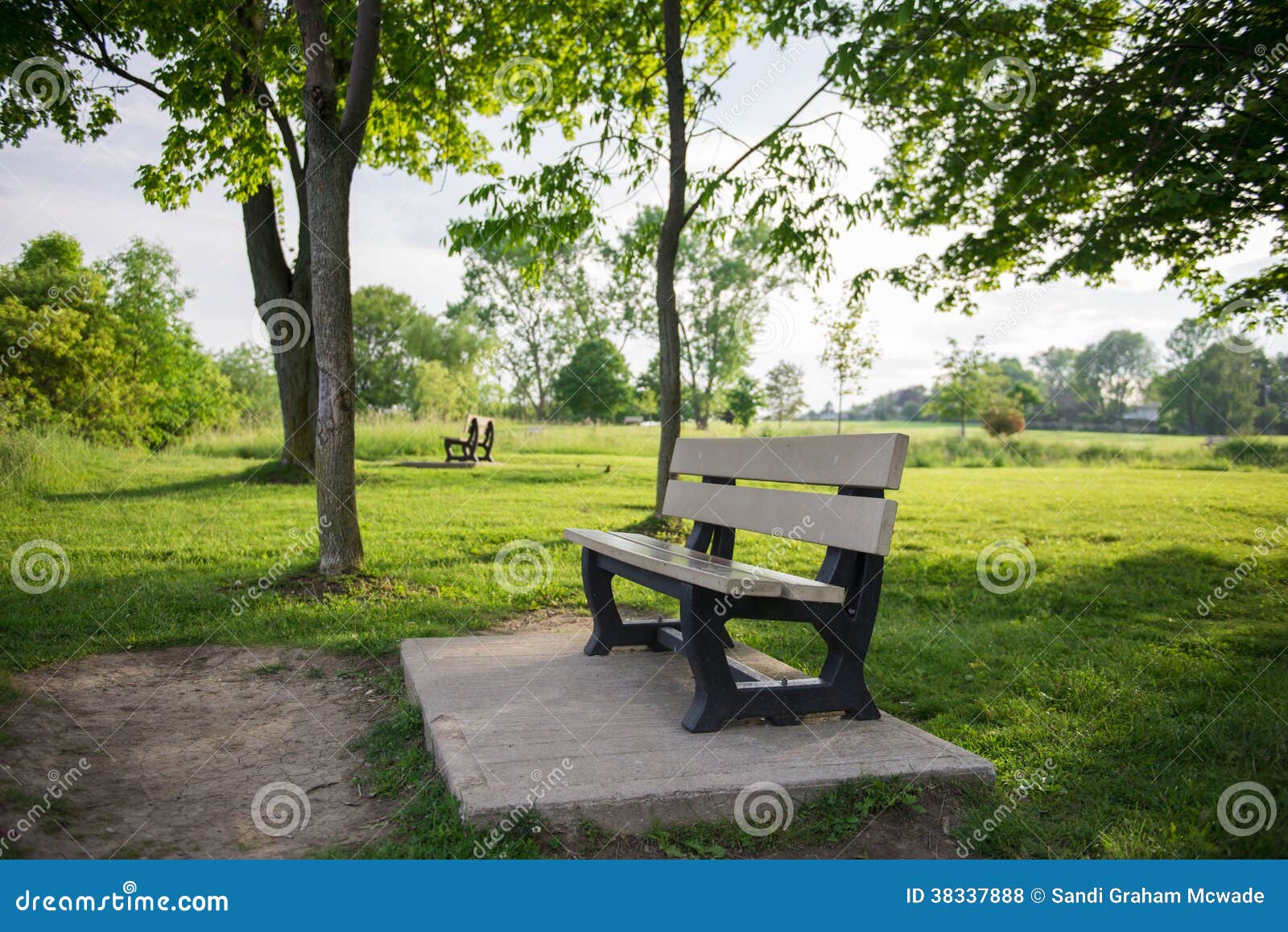 Park bench in nature area stock photo. Image of branches - 38337888