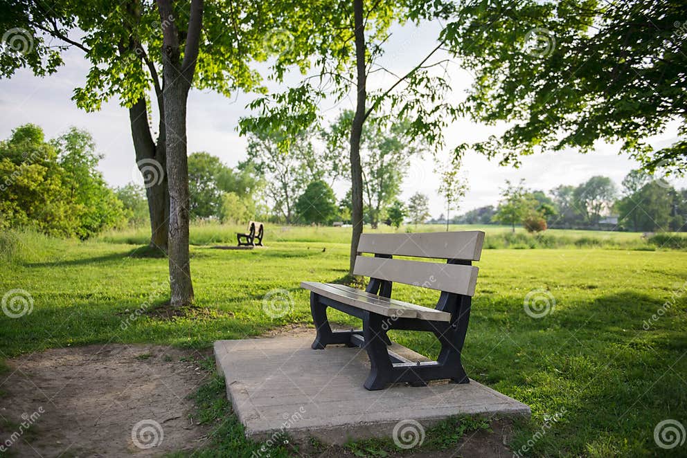 Park bench in nature area stock photo. Image of branches - 38337888