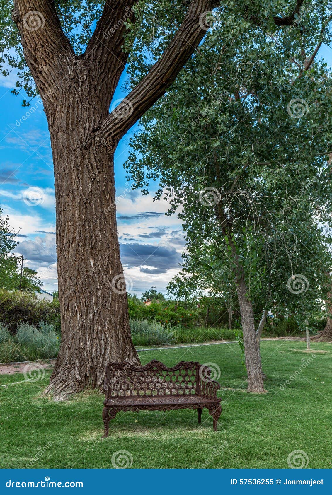 Park bench stock image. Image of relax, view, place, bench - 57506255