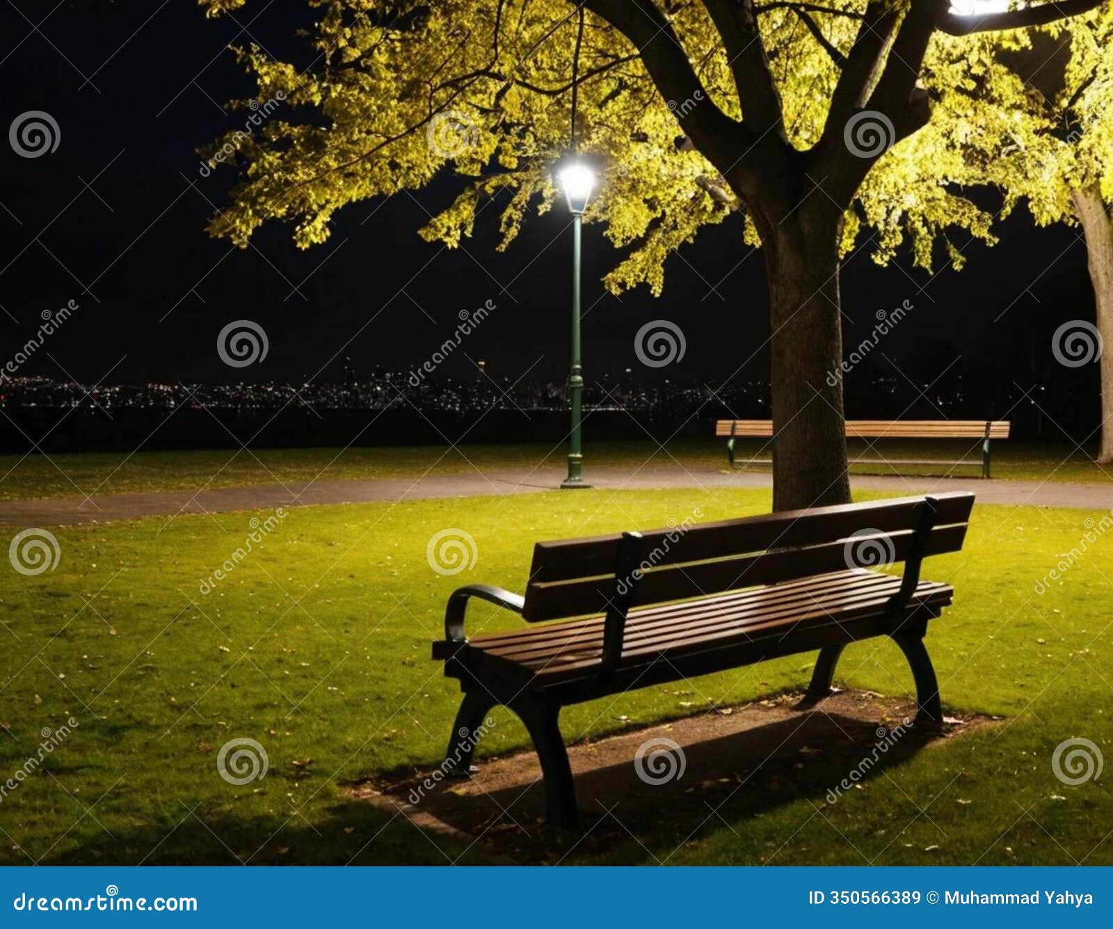 A Park Bench at Night with Lights from Poles Stock Illustration ...