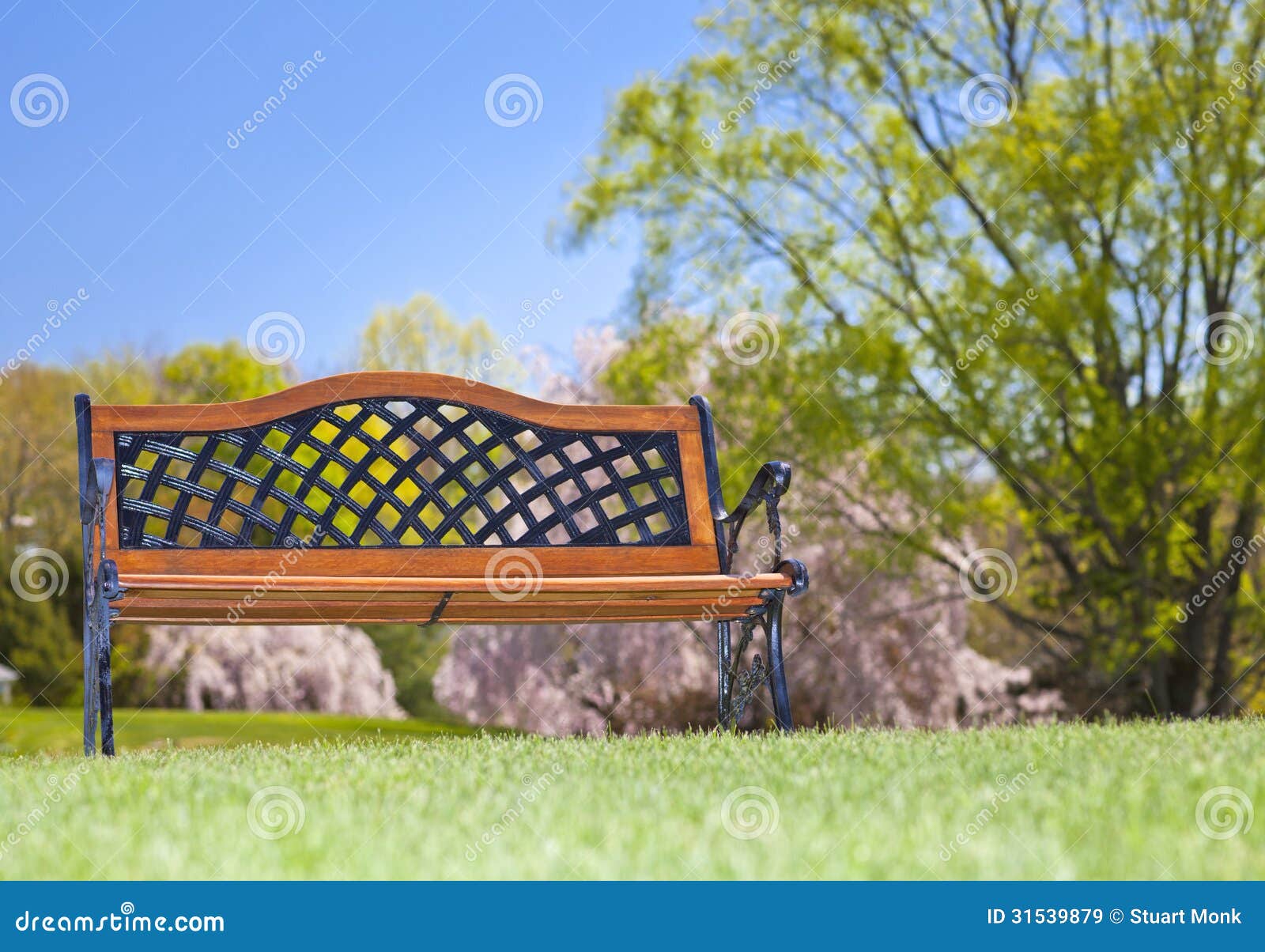 Park bench stock image. Image of rural, metal, park, blossom - 31539879