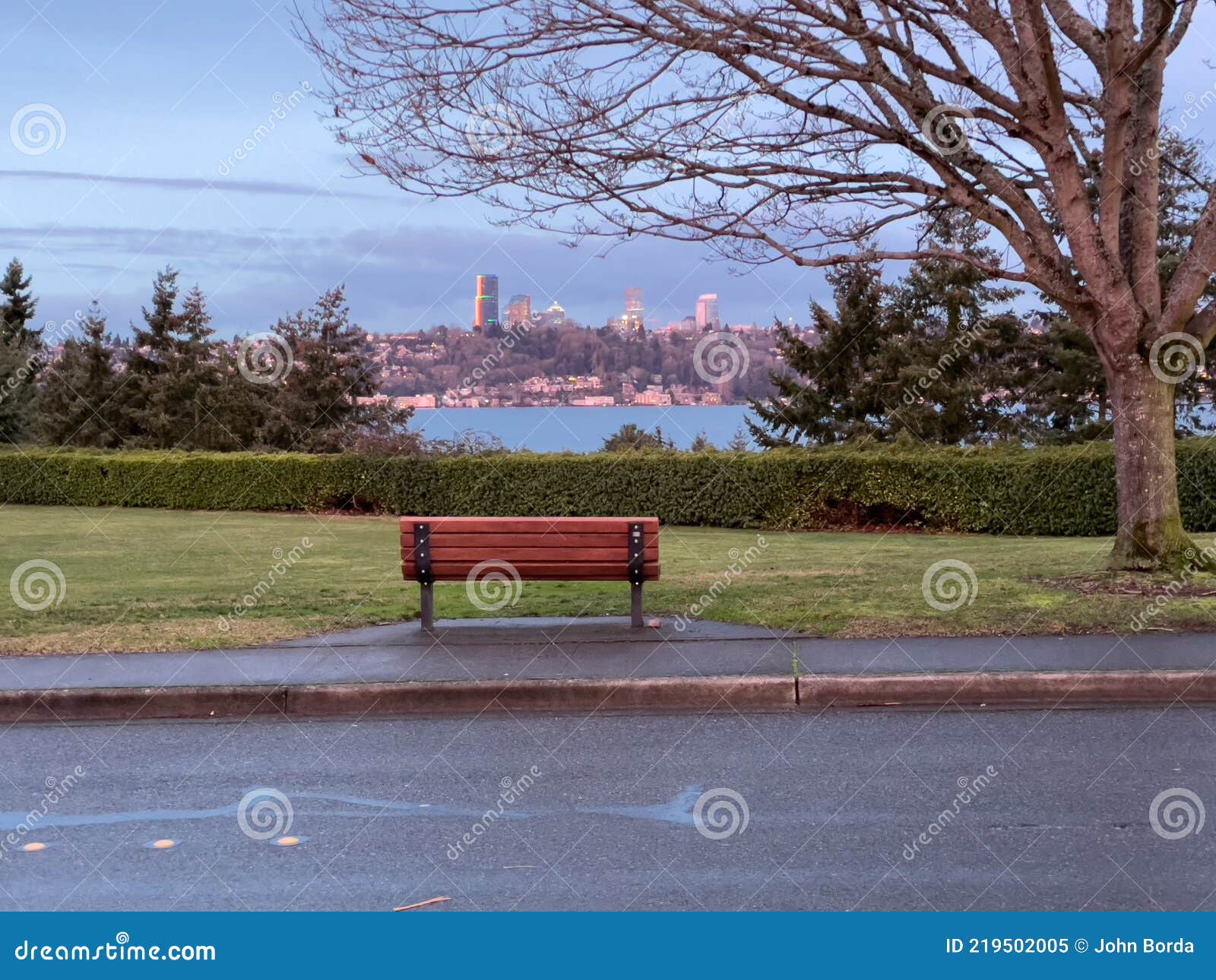 Park Bench Overlooking Seattle Stock Image - Image of architecture ...