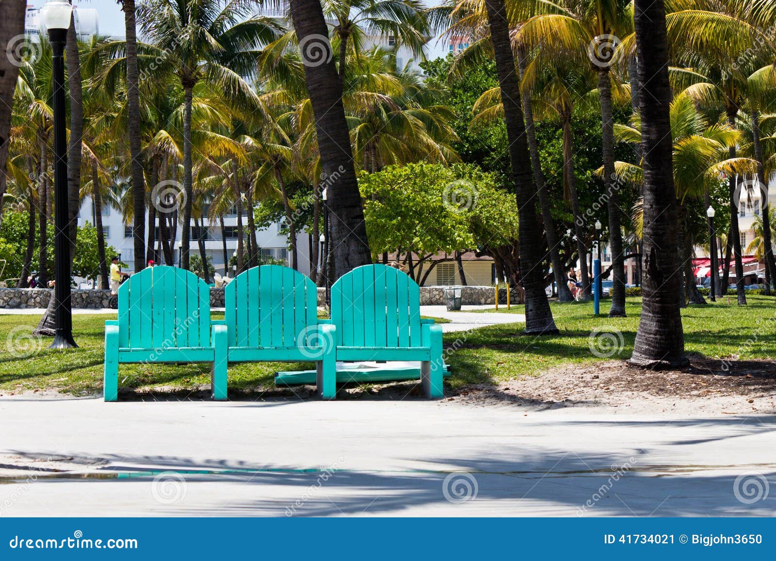 Park Bench among the Palm Trees in Miami, Florida Stock Image - Image ...