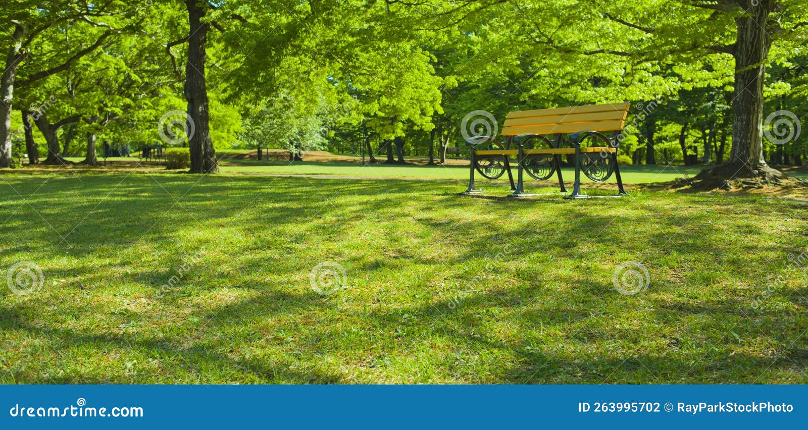 Park bench stock photo. Image of turf, grove, nature - 263995702