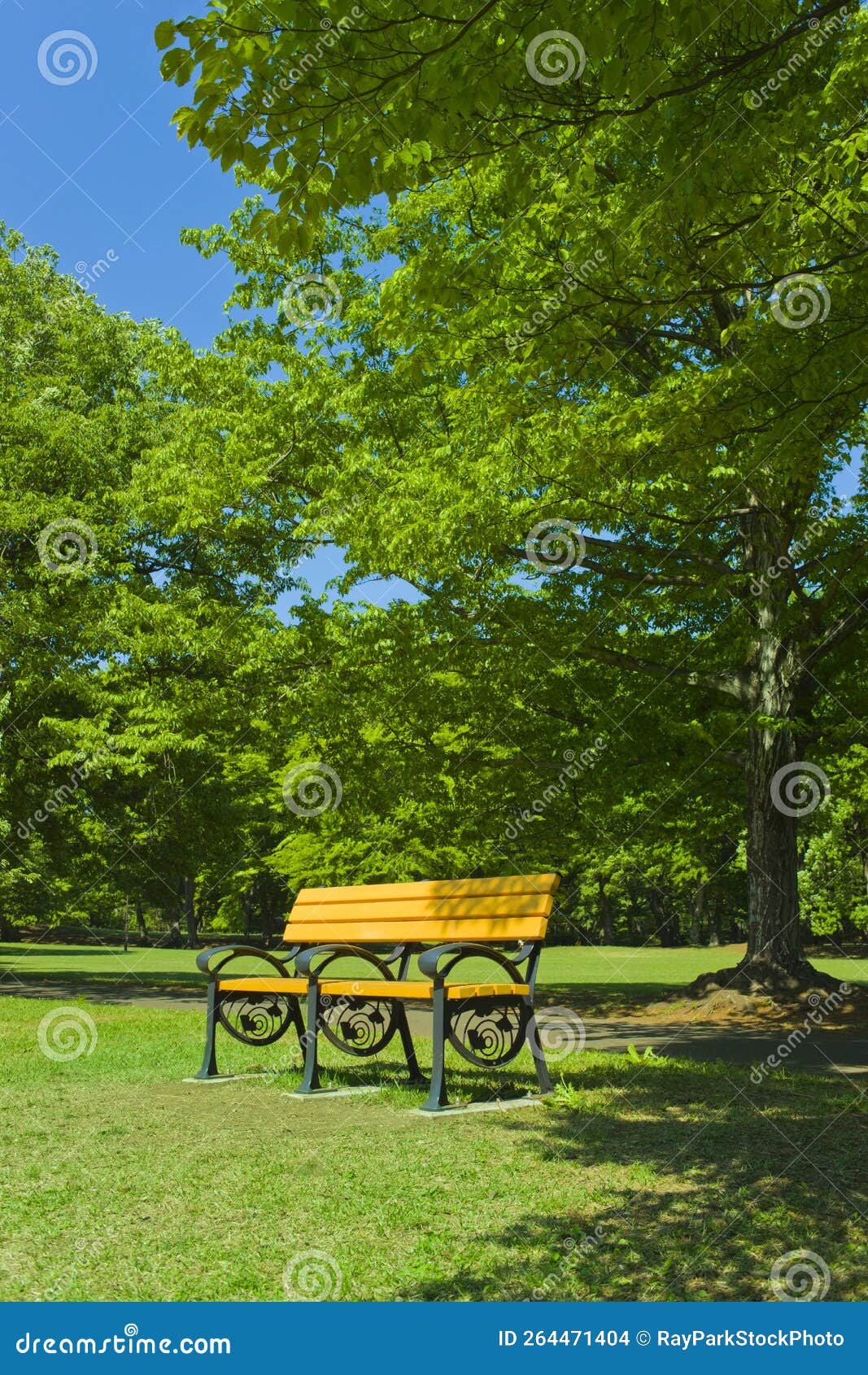 Park bench stock photo. Image of large, blue, flower - 264471404