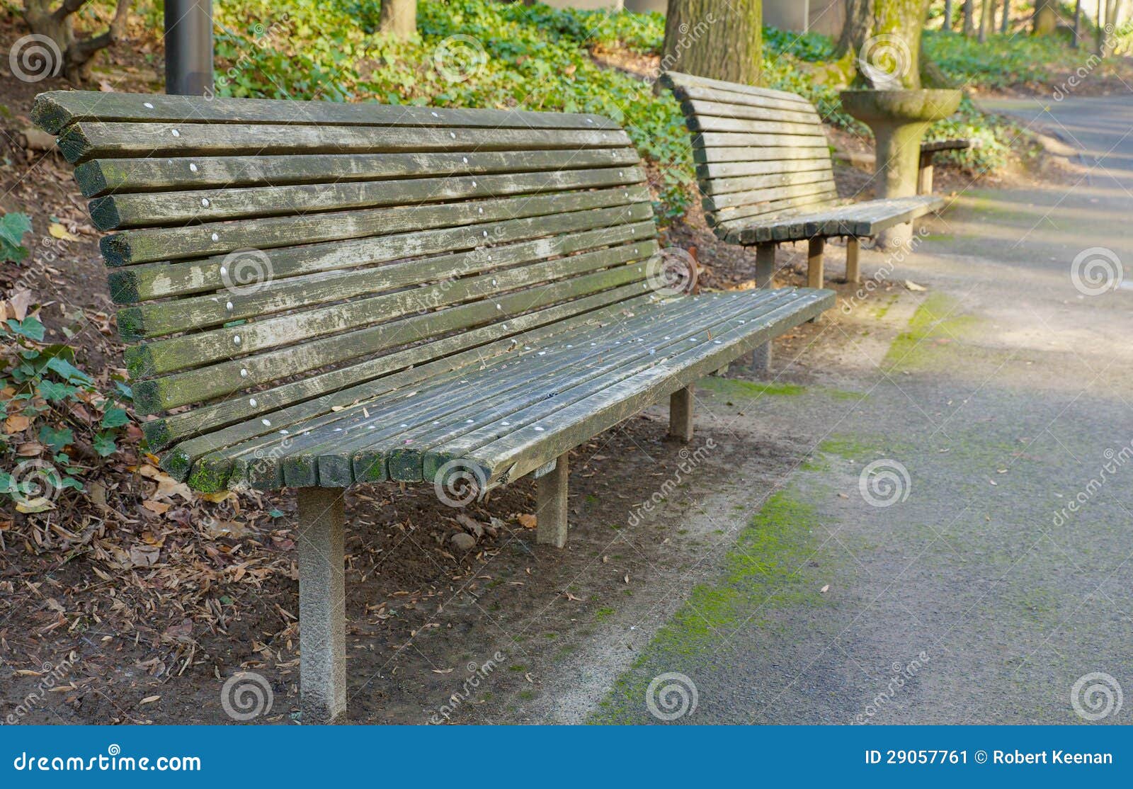 Park Bench Perspective Deeper DOF Stock Image - Image of empty, road ...