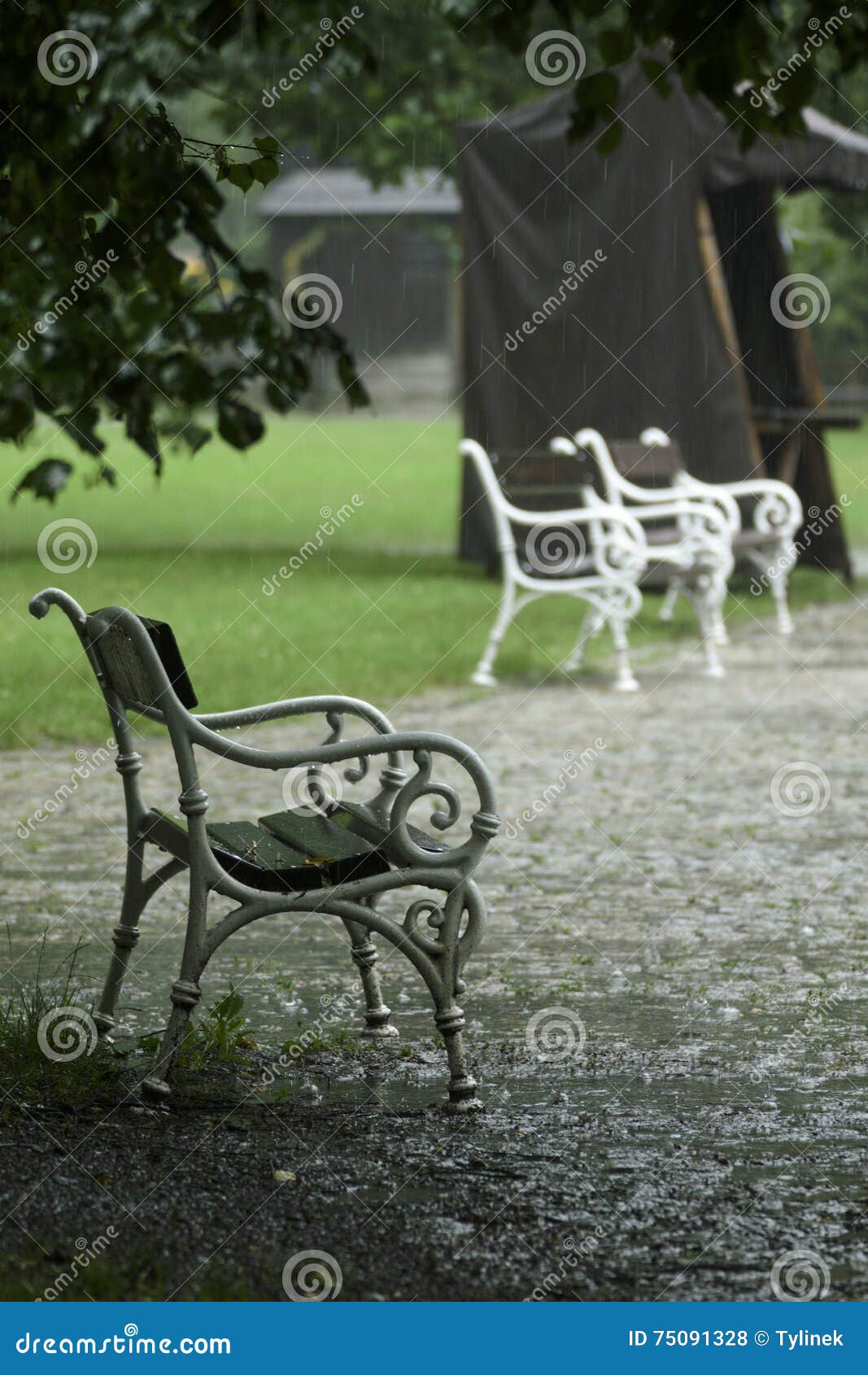 Park stock photo. Image of outdoor, garden, scene, background - 75091328