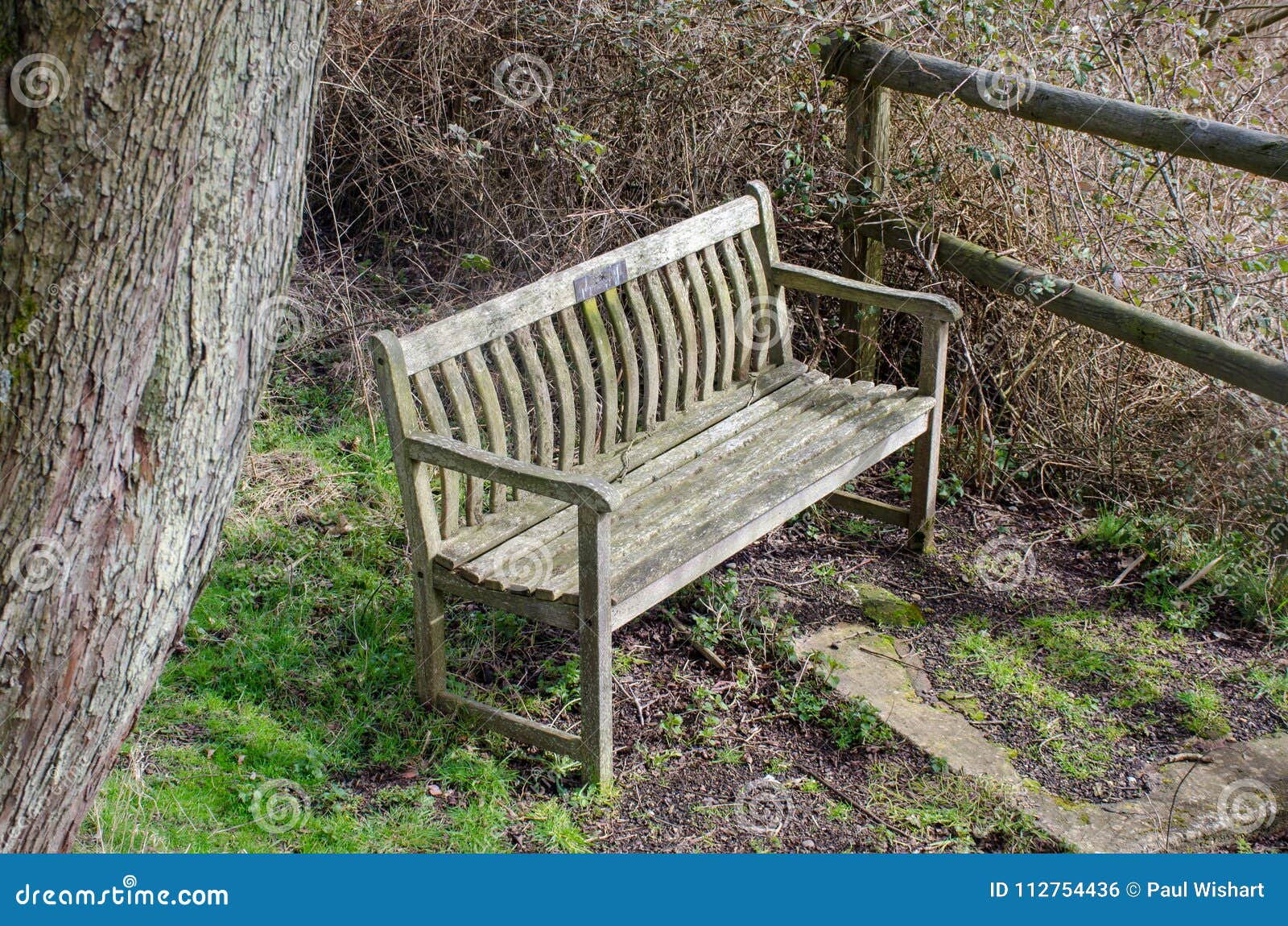 Park Bench in Rural Setting in Autumn Stock Photo - Image of chair ...