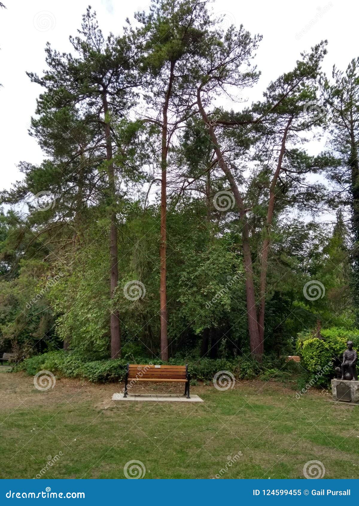 The park bench stock image. Image of bench, view, seat - 124599455