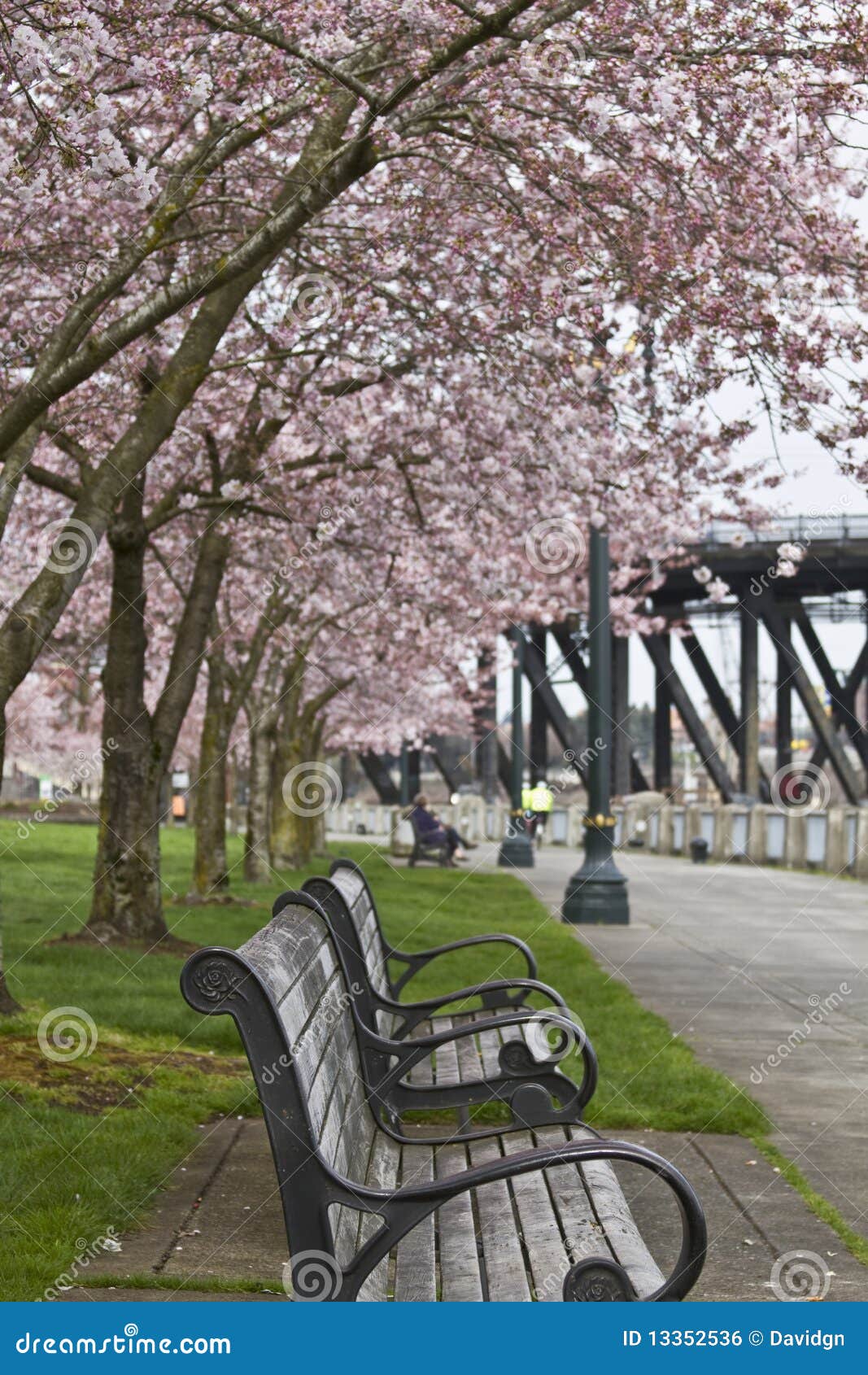 Park Bench at Spring Time stock photo. Image of walking - 13352536