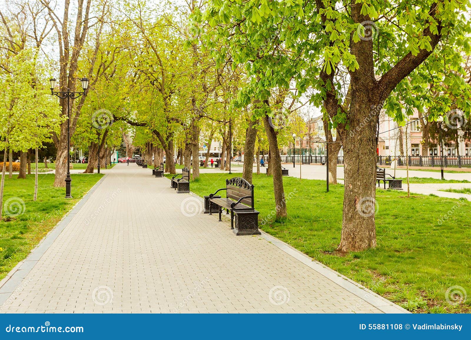 Park Bench Spring Urban Landscape Recreation Stock Photo - Image of ...