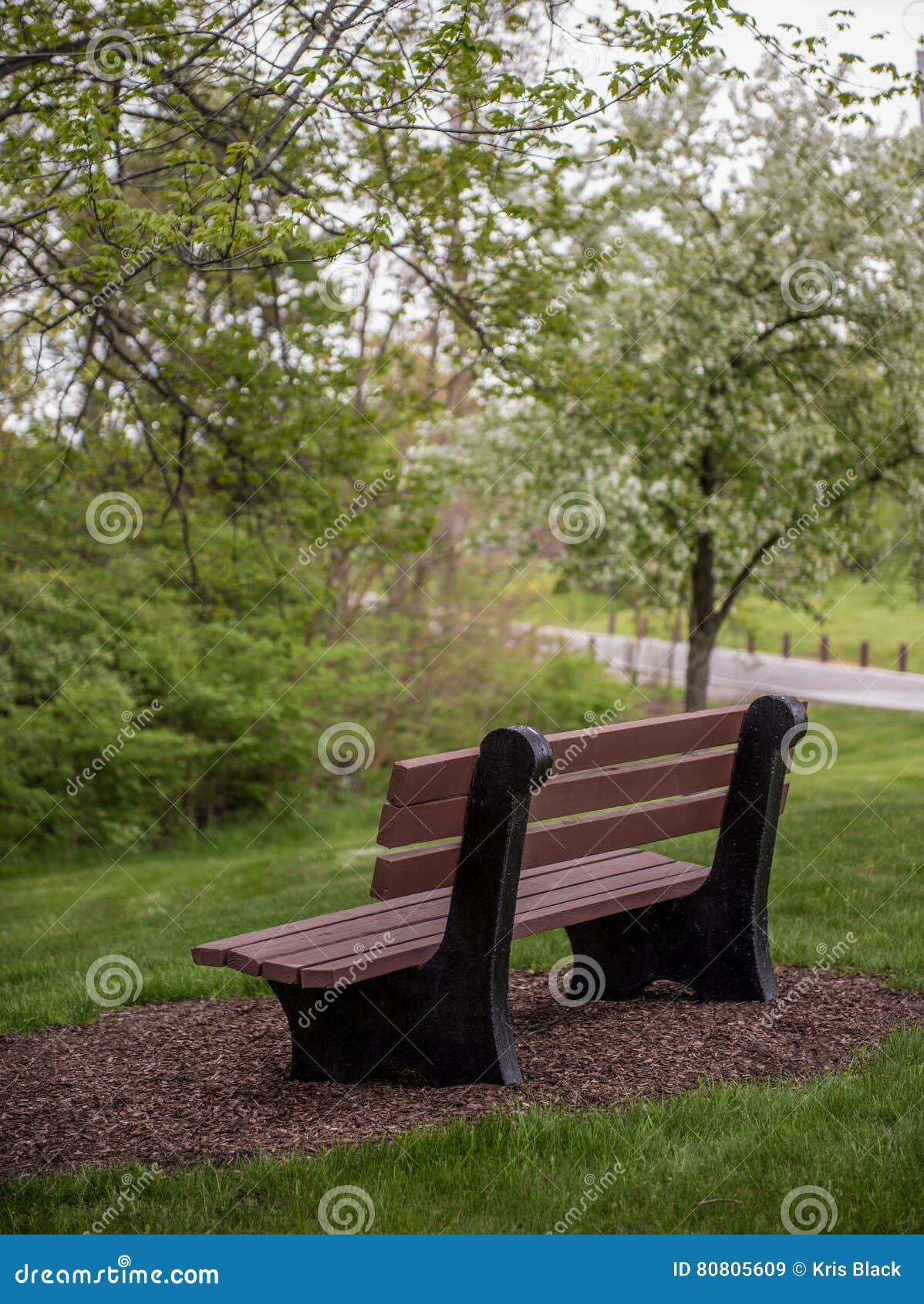 Park Bench in Springtime Landscape Stock Image - Image of thinking ...