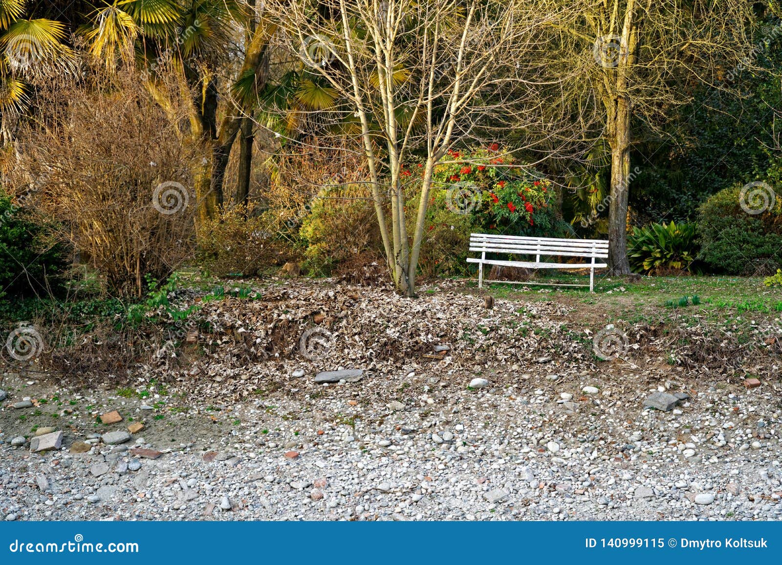 Park Bench Stands on a Path in Autumn Stock Image - Image of park ...
