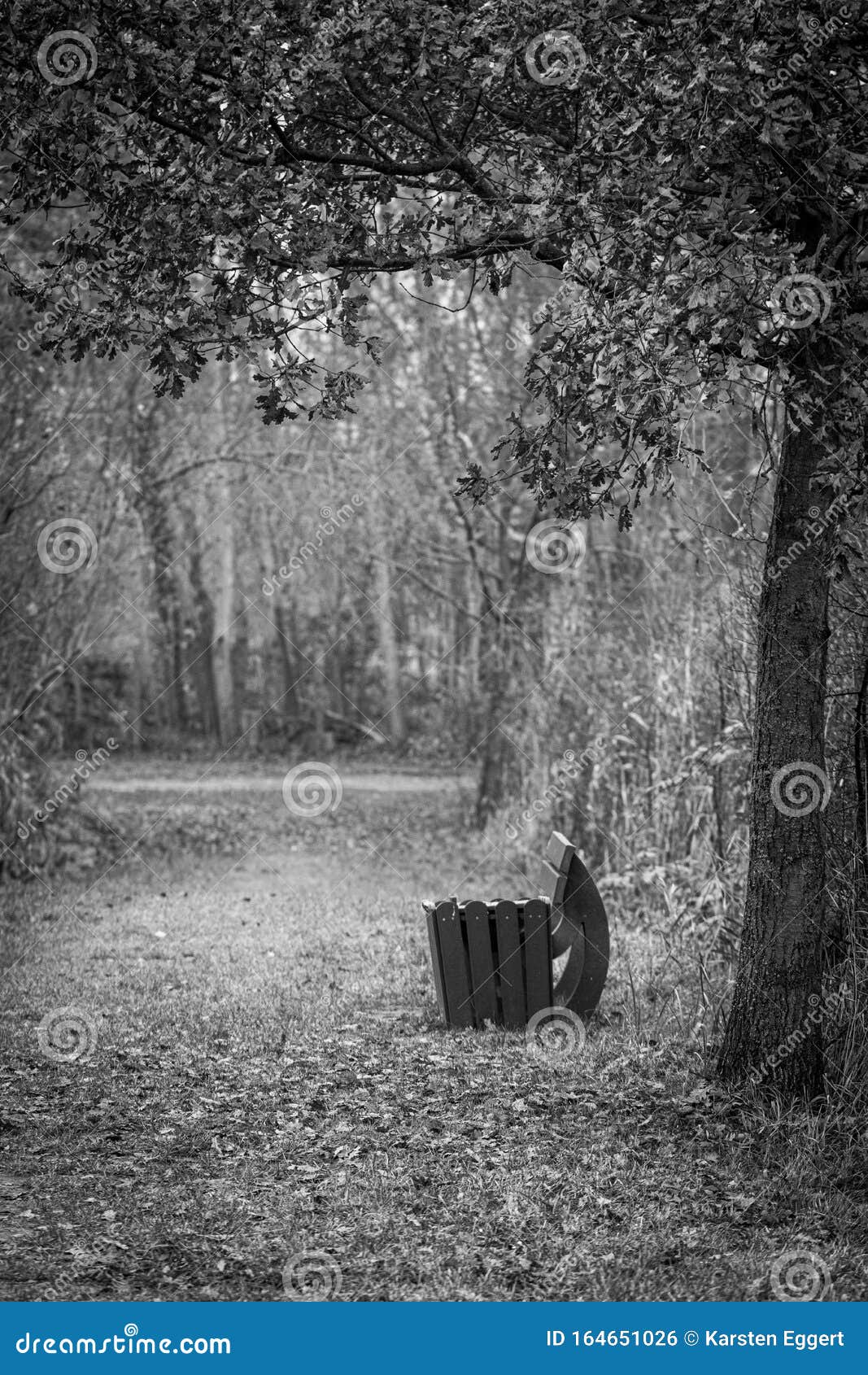 Park Bench Stands Under an Oak Tree with Brown Leaves in Autumn Stock ...