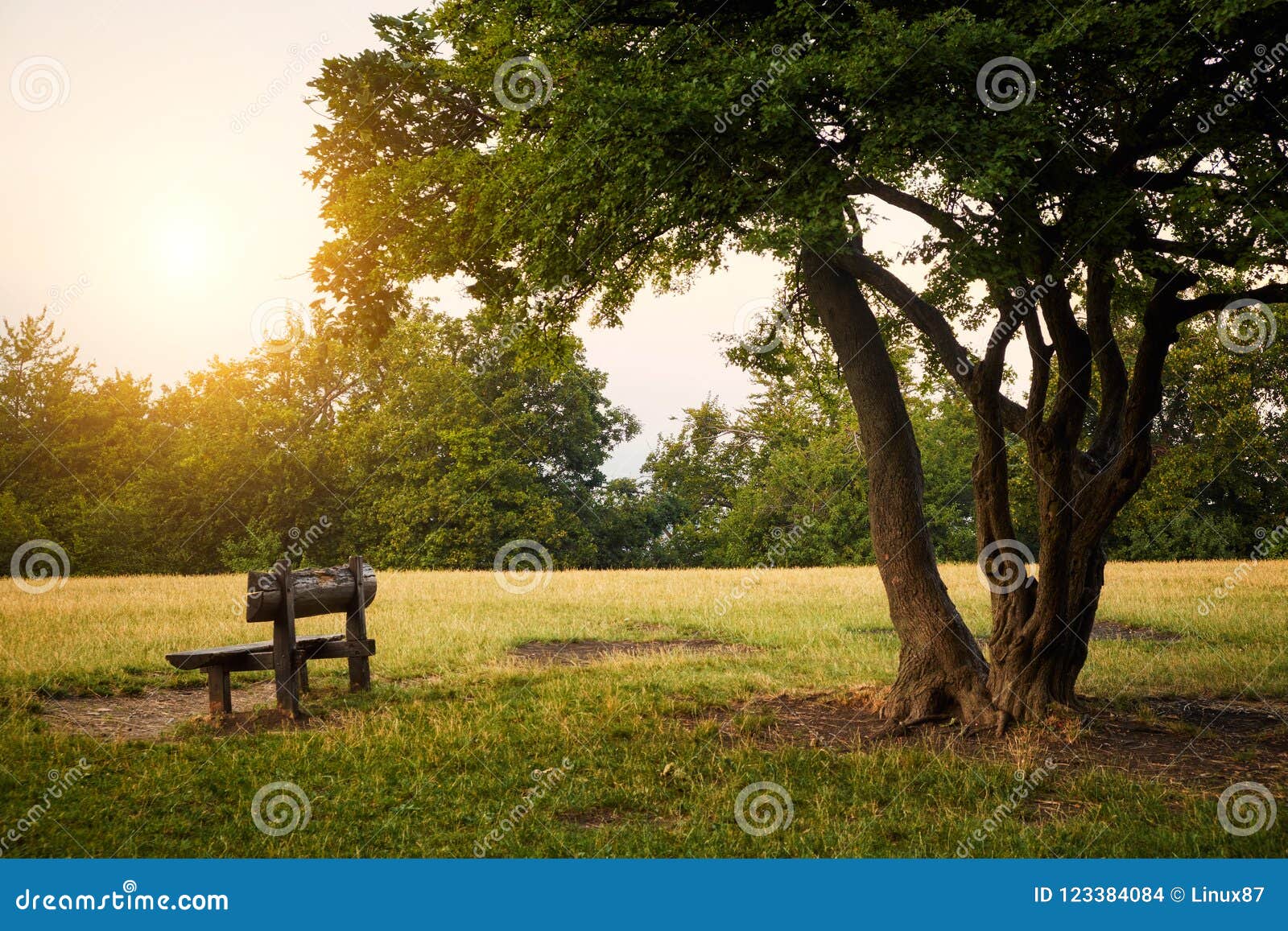 Park stock photo. Image of season, outdoor, rural, path - 123384084