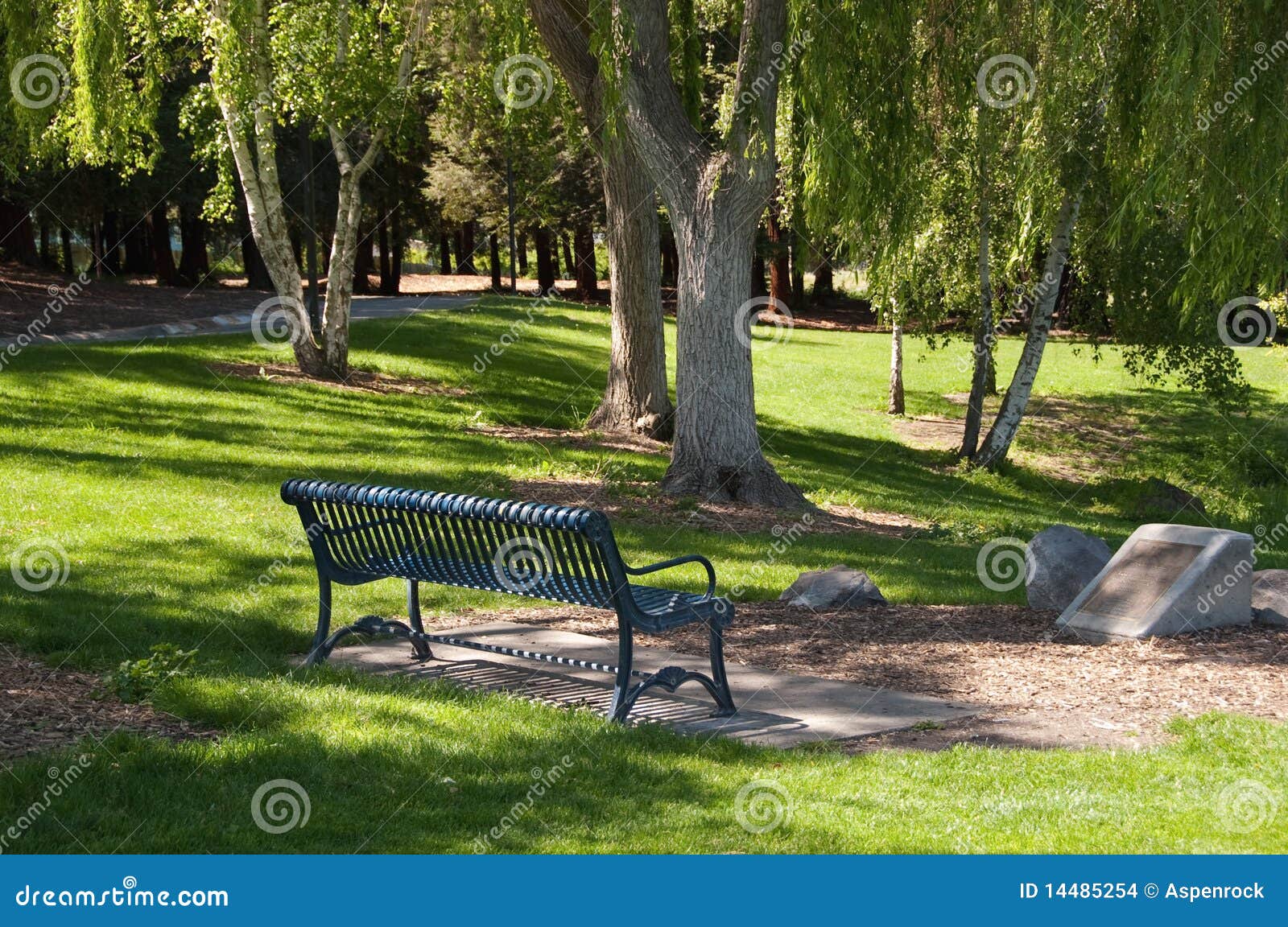 Park Bench on a Sunny Afternoon Stock Photo - Image of willow, bright ...