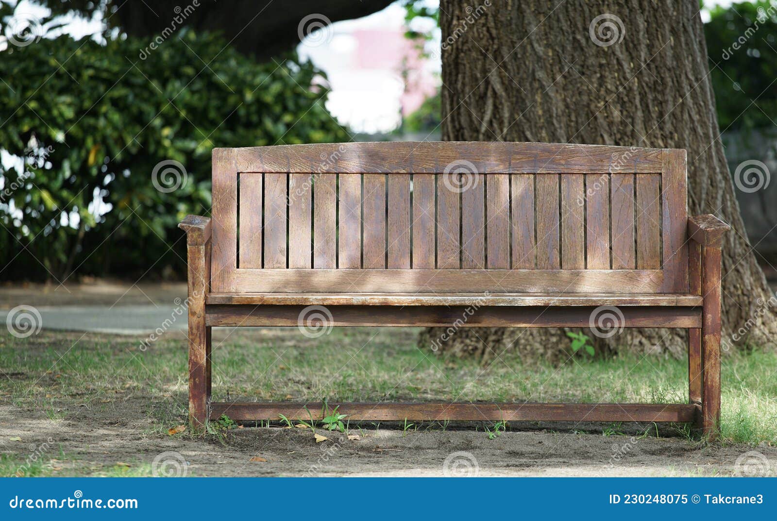 Bench stock image. Image of nature, seat, tree, wooden - 230248075