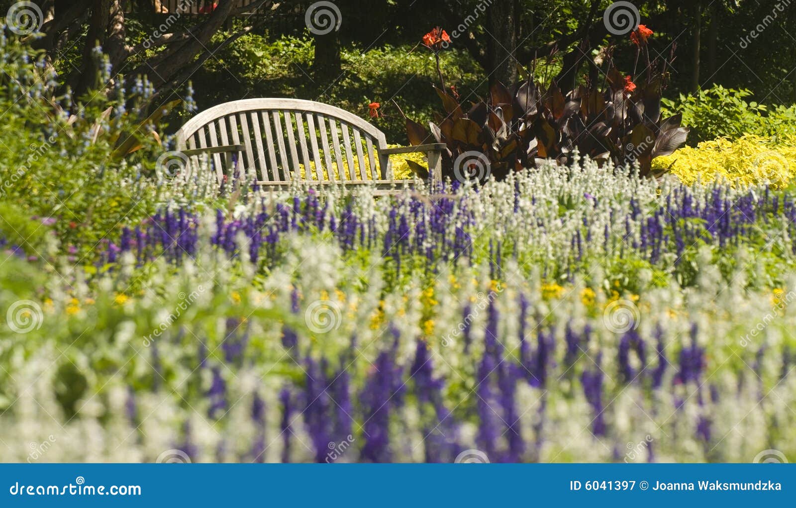 Park Bench Surrounded by Flowers Stock Image - Image of grass, colors ...
