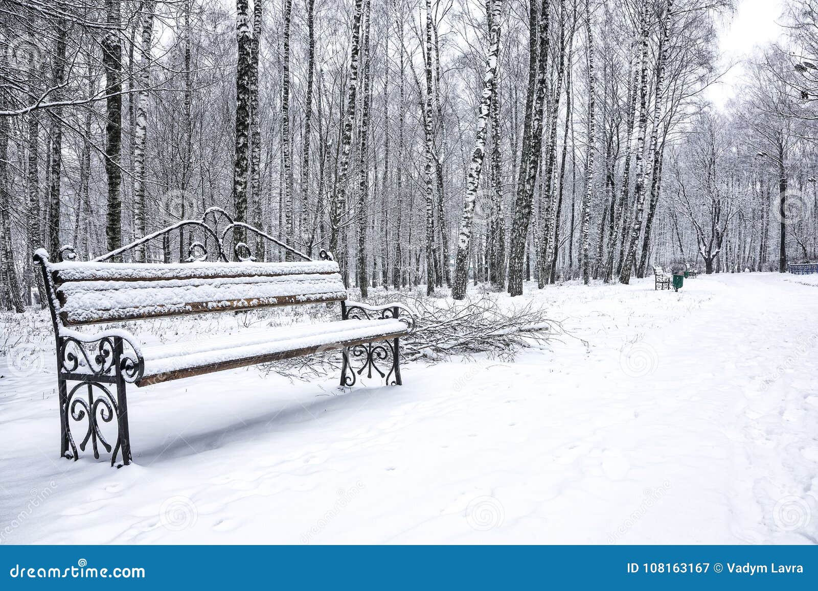 Park Bench and Trees Covered by Heavy Snow Stock Image - Image of ...