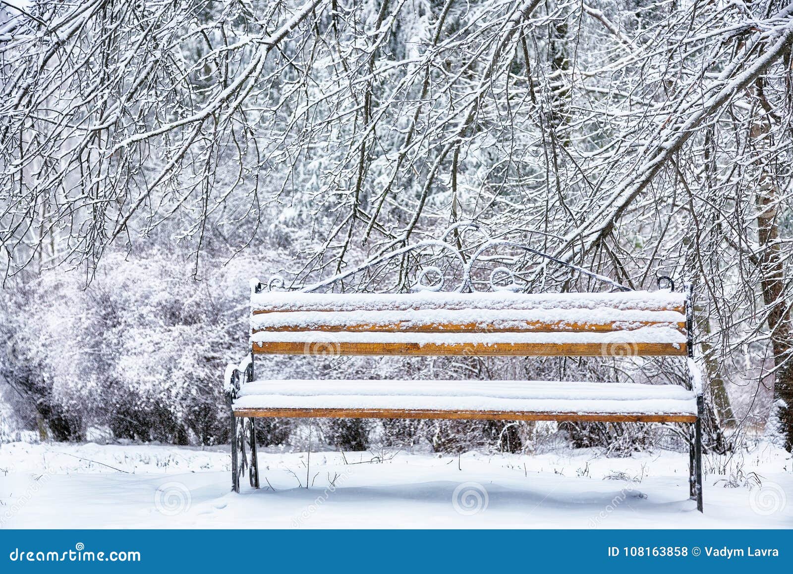 Park Bench and Trees Covered by Heavy Snow Stock Photo - Image of bench ...