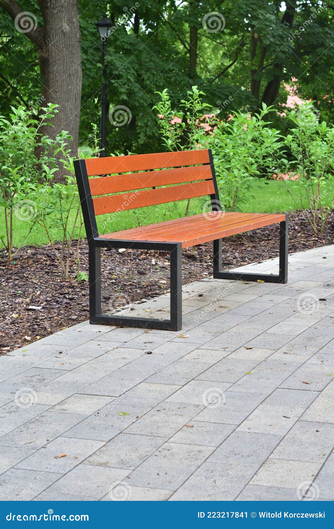 Park Bench among Trees and Lanterns. Summer. Day Stock Image - Image of ...