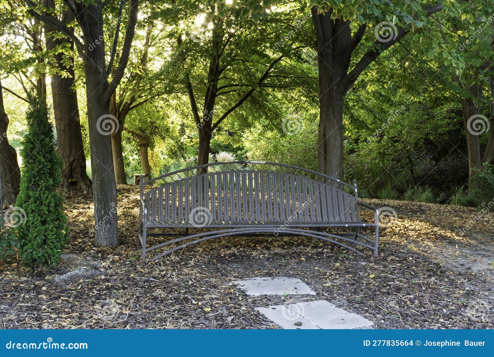 Park Bench in the Trees Sunlit Trees Stock Photo - Image of trail ...