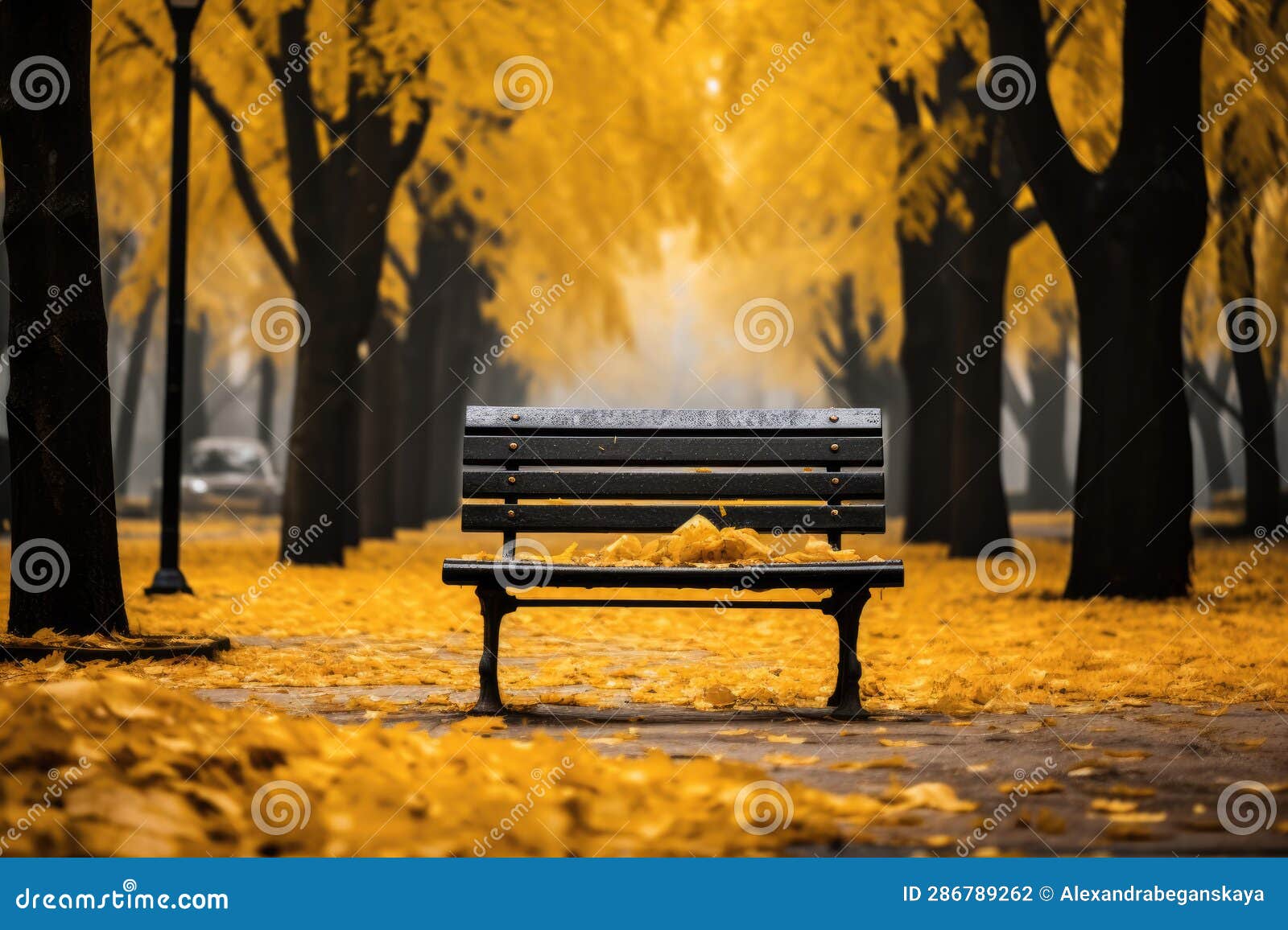 Park Bench Under Autumn Leaves Stock Photo - Image of yellow, wind ...