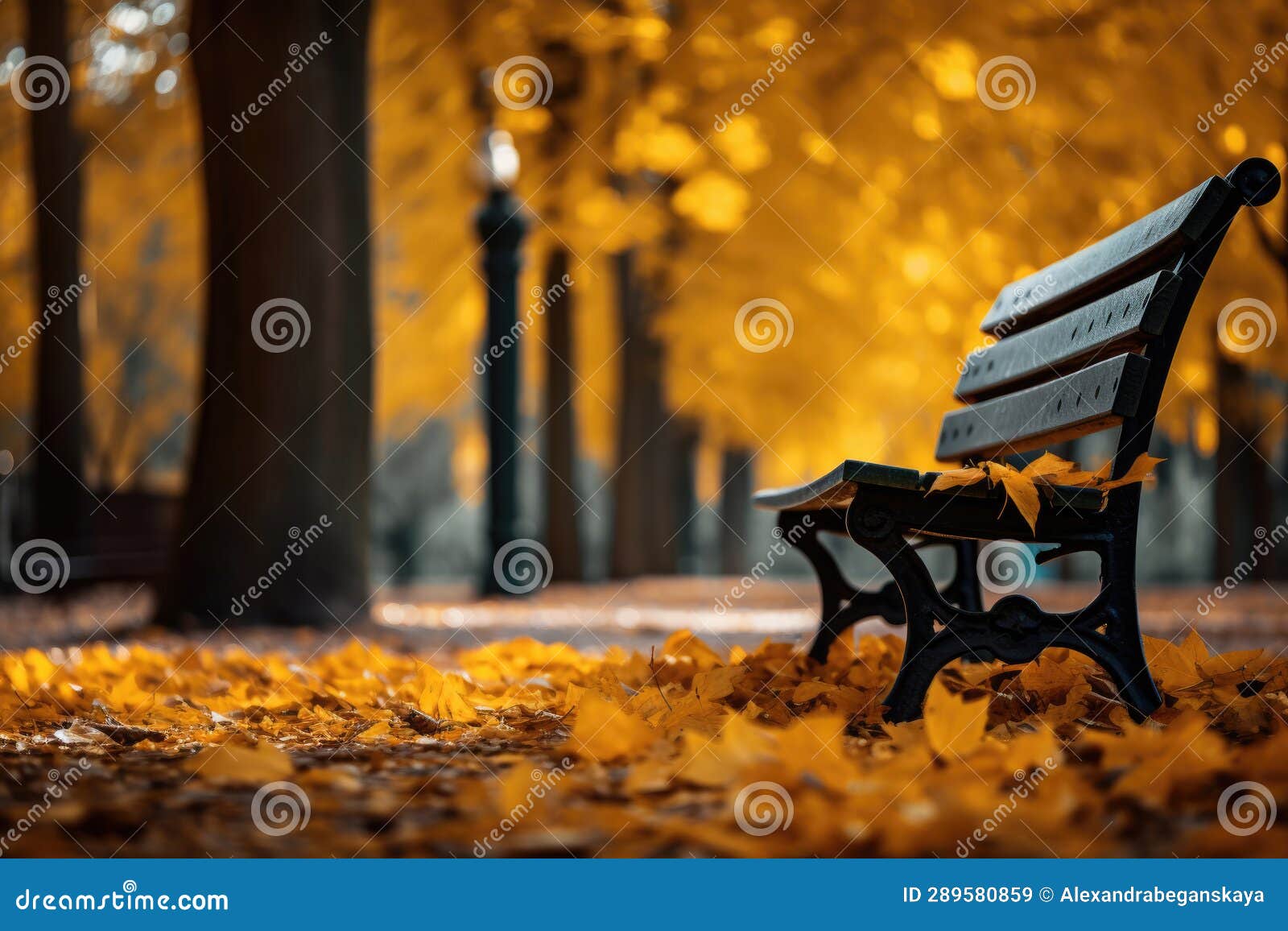 Park Bench Under Autumn Leaves Stock Illustration - Illustration of ...