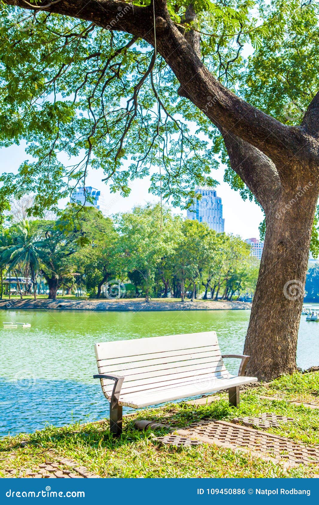 Park Bench Under Big Tree Overlooking the Water or Lake Stock Photo ...
