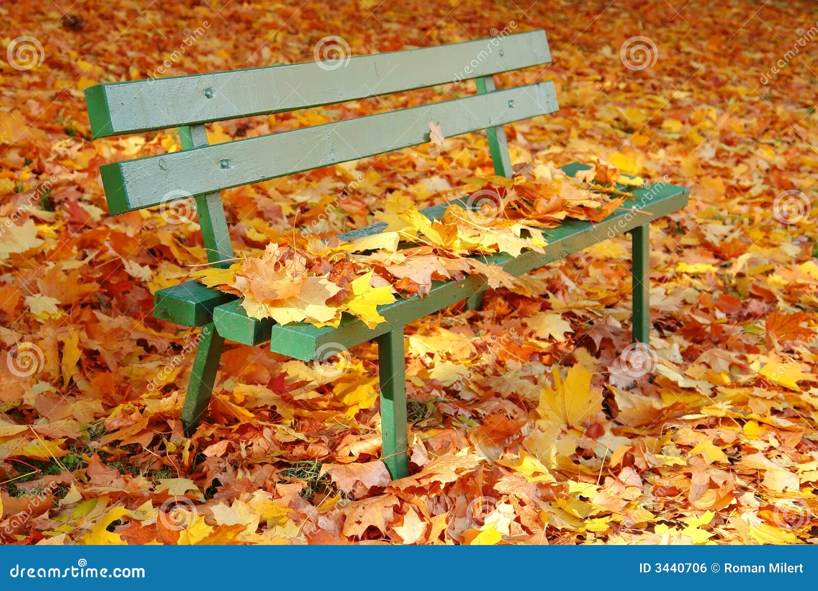 Park Bench Under Fall Cover Stock Photo - Image of season, single: 3440706