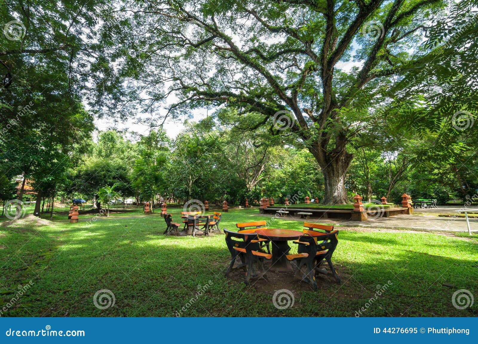 Park bench under tree stock image. Image of rest, shade - 44276695