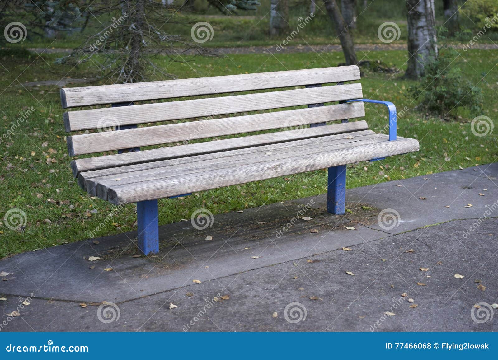 Park Bench stock photo. Image of green, alaska, sking - 77466068