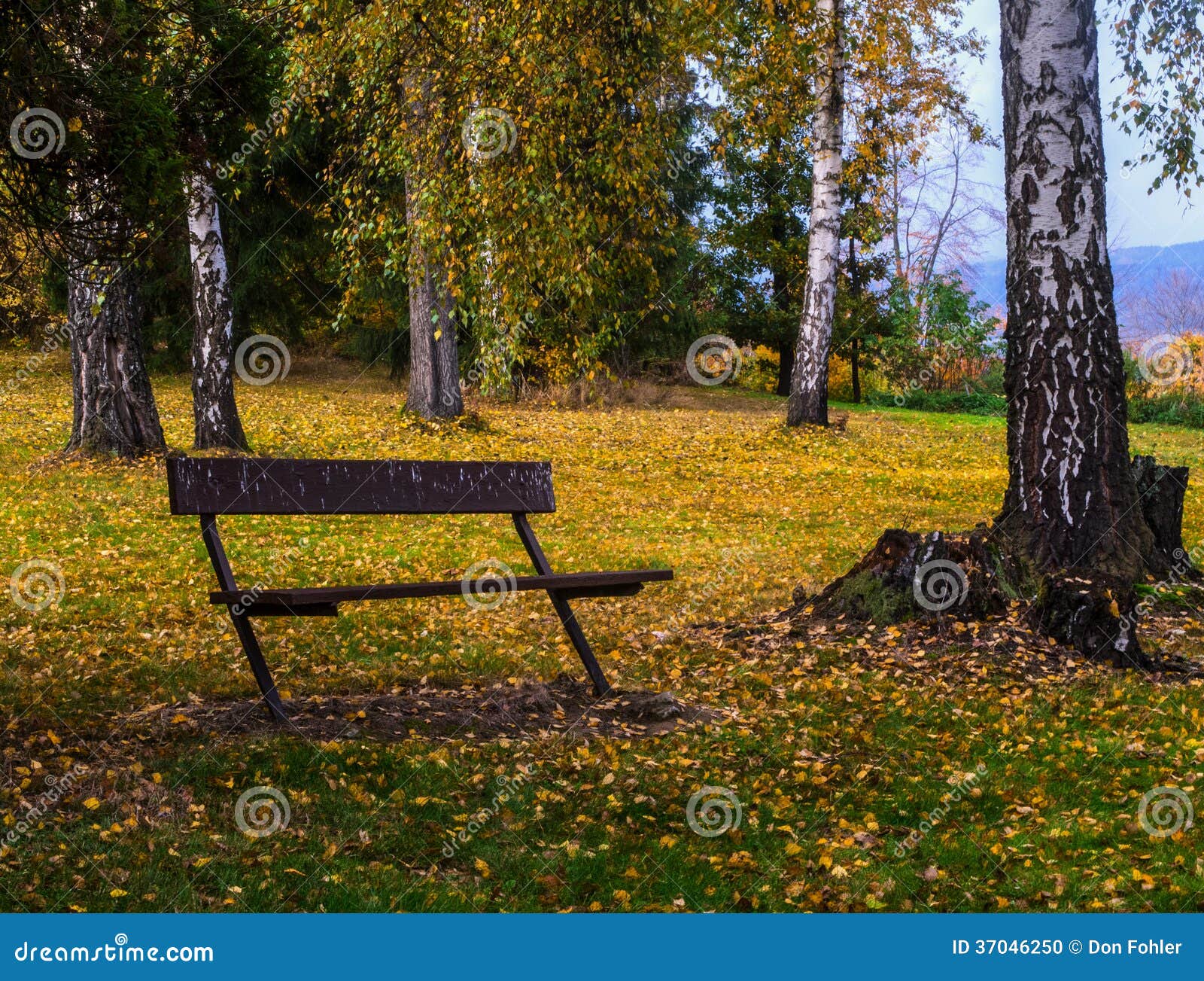Park bench with a view stock photo. Image of meadow, sunny - 37046250