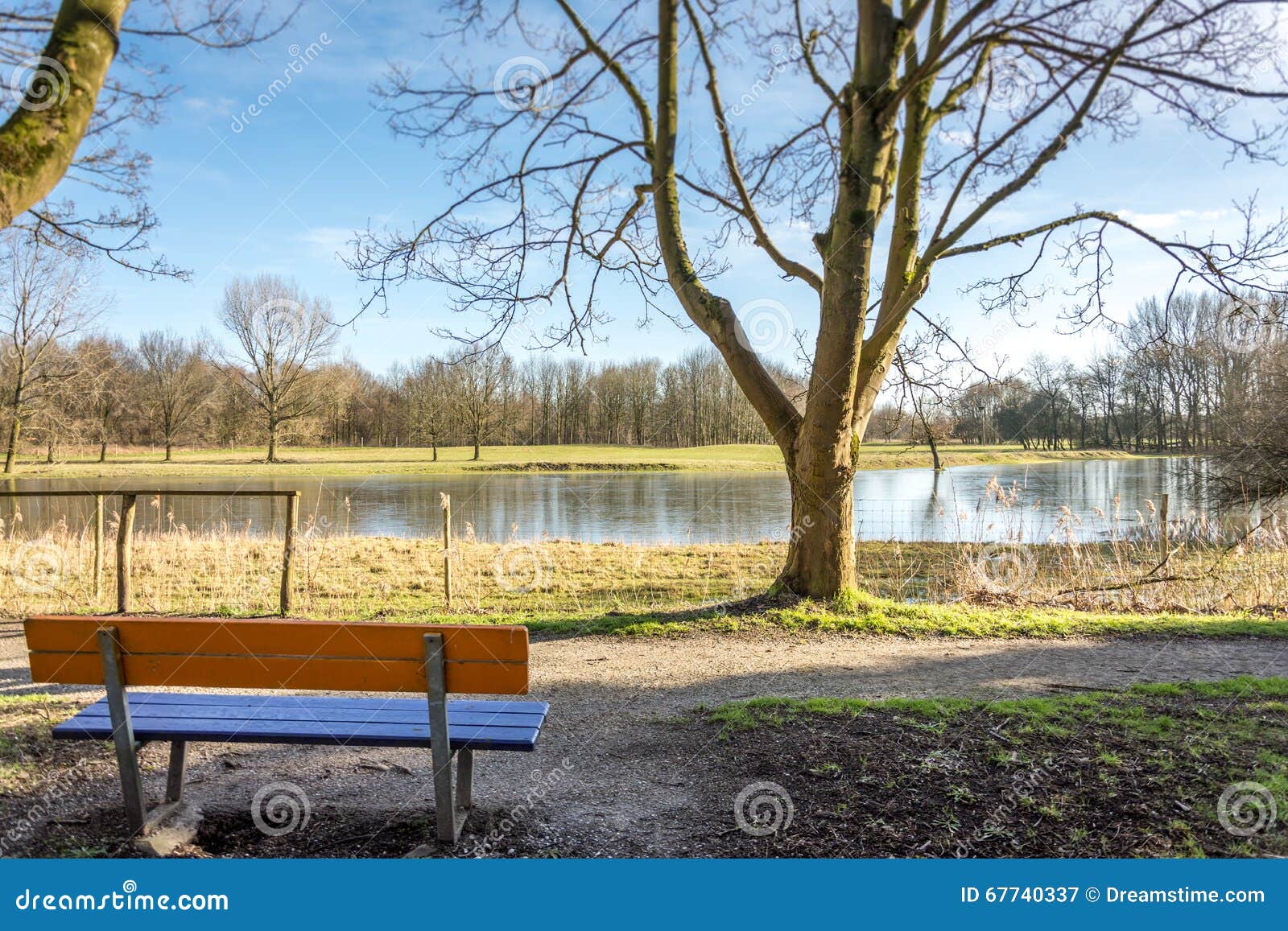 Park bench with a view stock image. Image of nature, park - 67740337