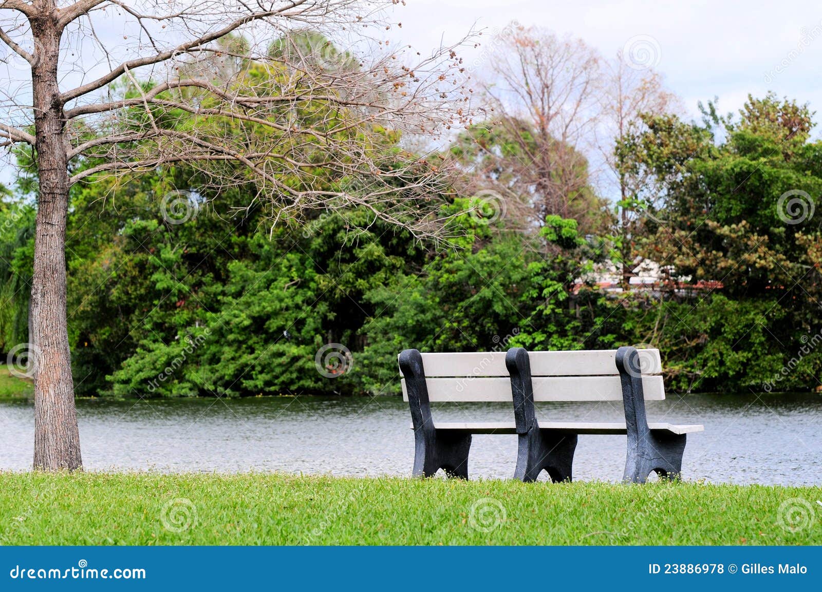 Park Bench by the Water stock photo. Image of creative - 23886978