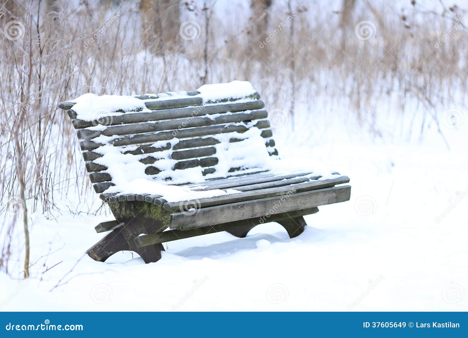 Park Bench in Winter stock image. Image of plants, park - 37605649