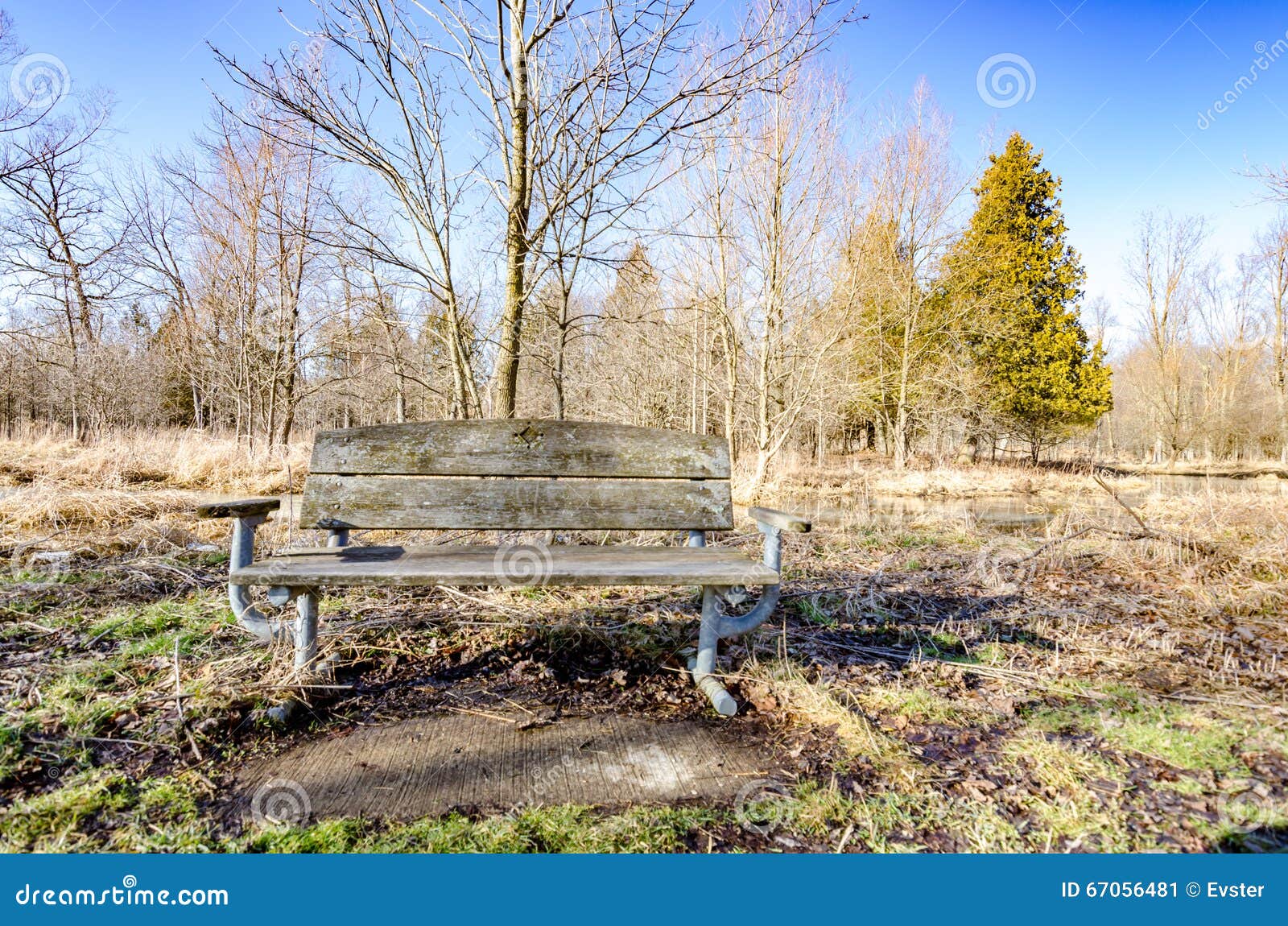 Park Bench in Winter stock image. Image of outdoors, bench - 67056481