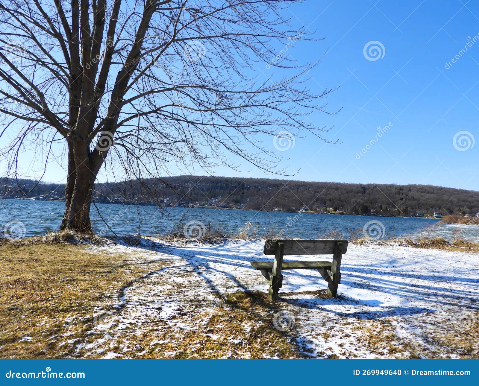 Park Bench Lake View in Winter on Otisco Lake Stock Photo - Image of ...