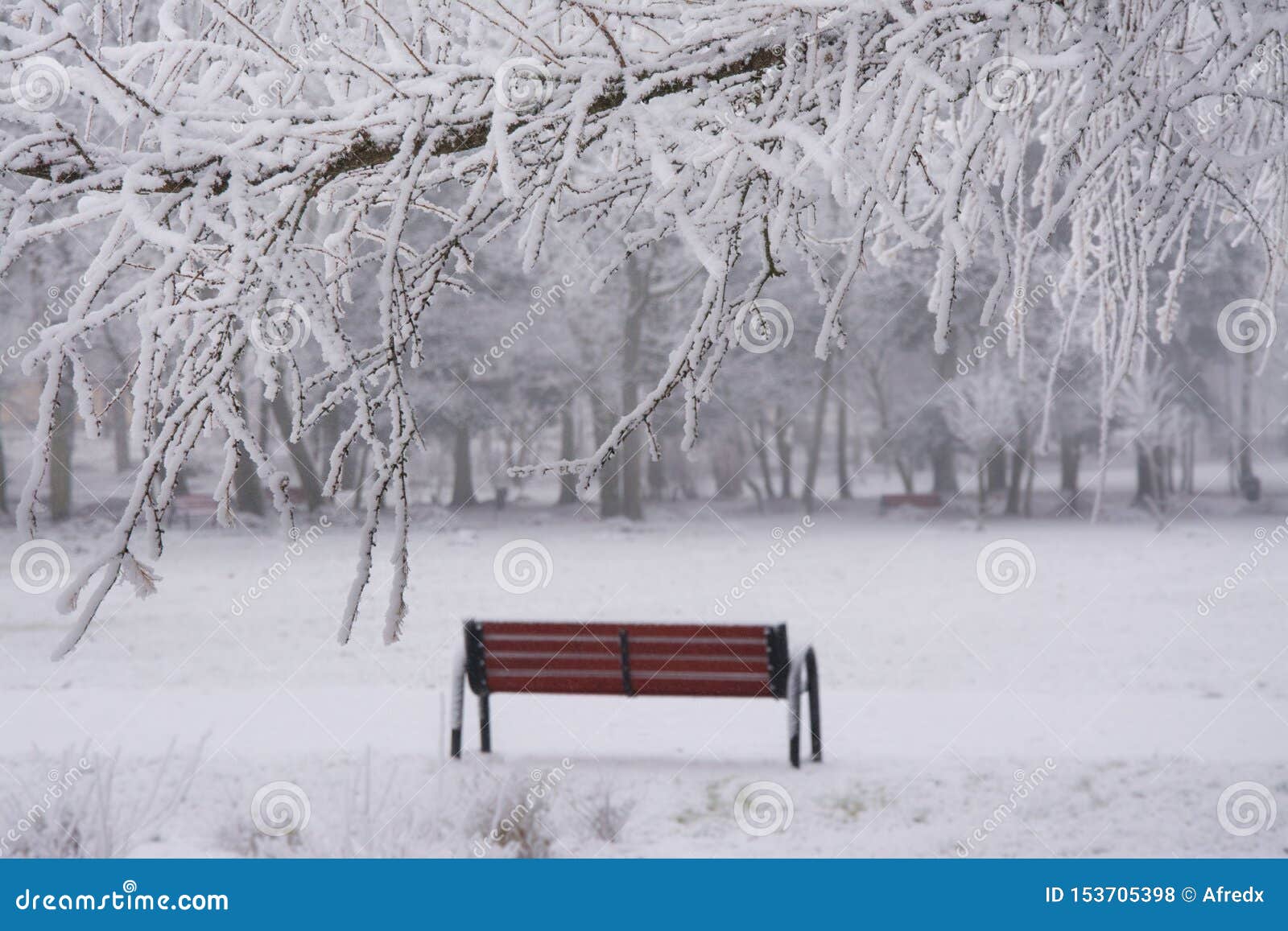 50,066 Winter Bench Stock Photos - Free & Royalty-Free Stock Photos ...