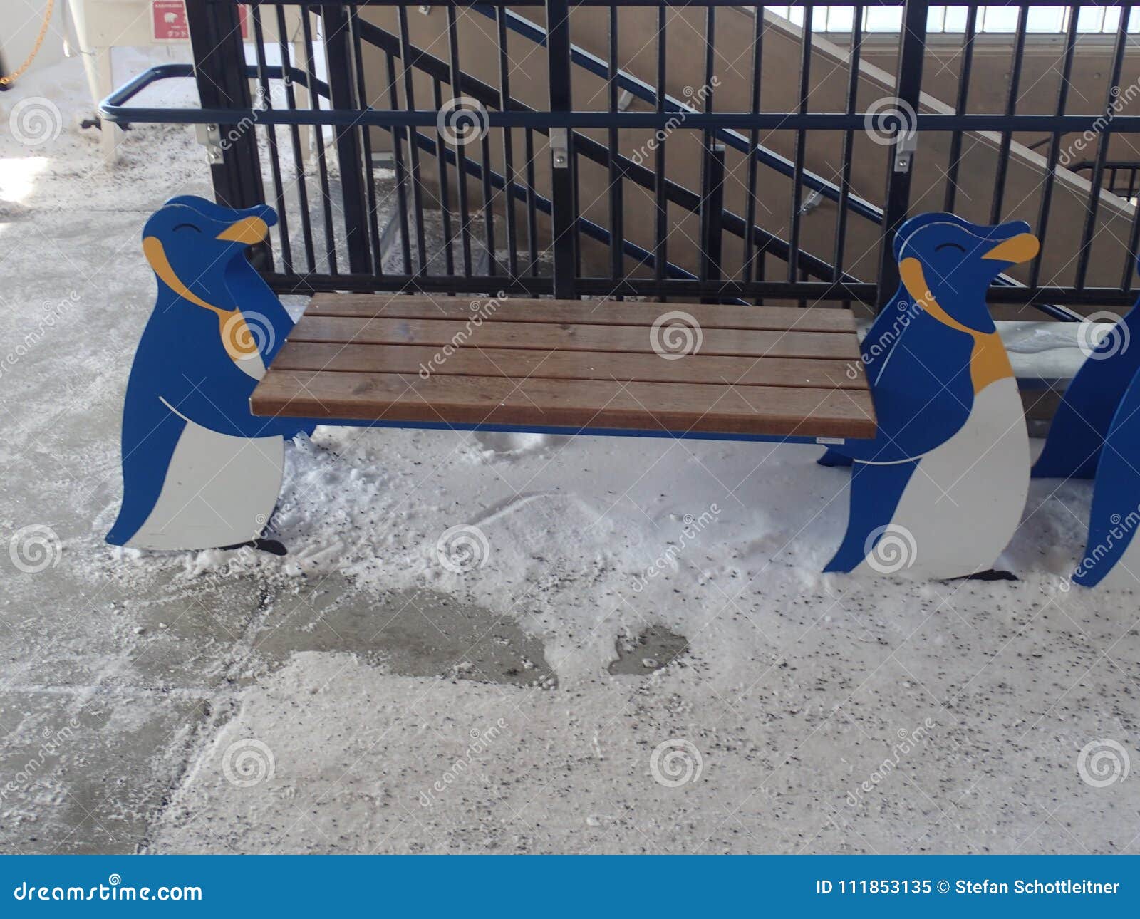 Park bench in the zoo stock image. Image of access, ground - 111853135