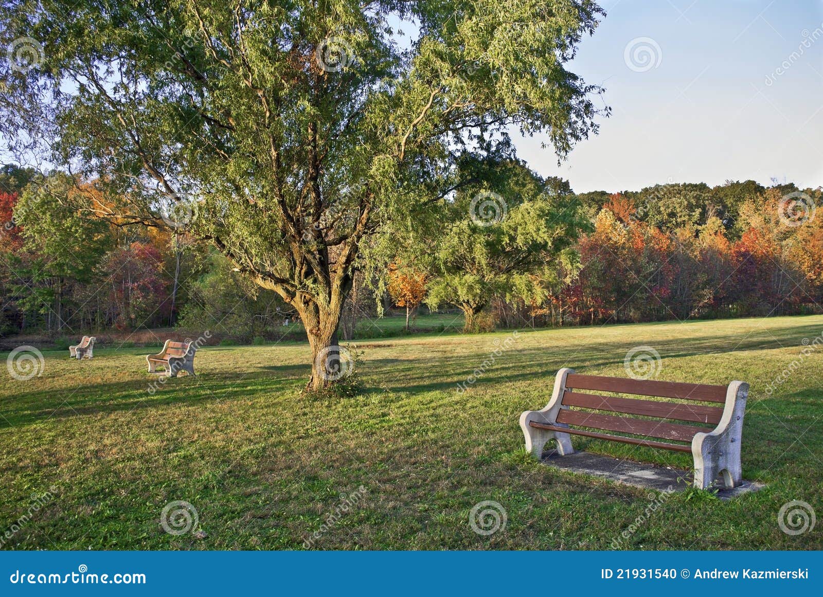 Park Benches stock photo. Image of bench, grass, park - 21931540