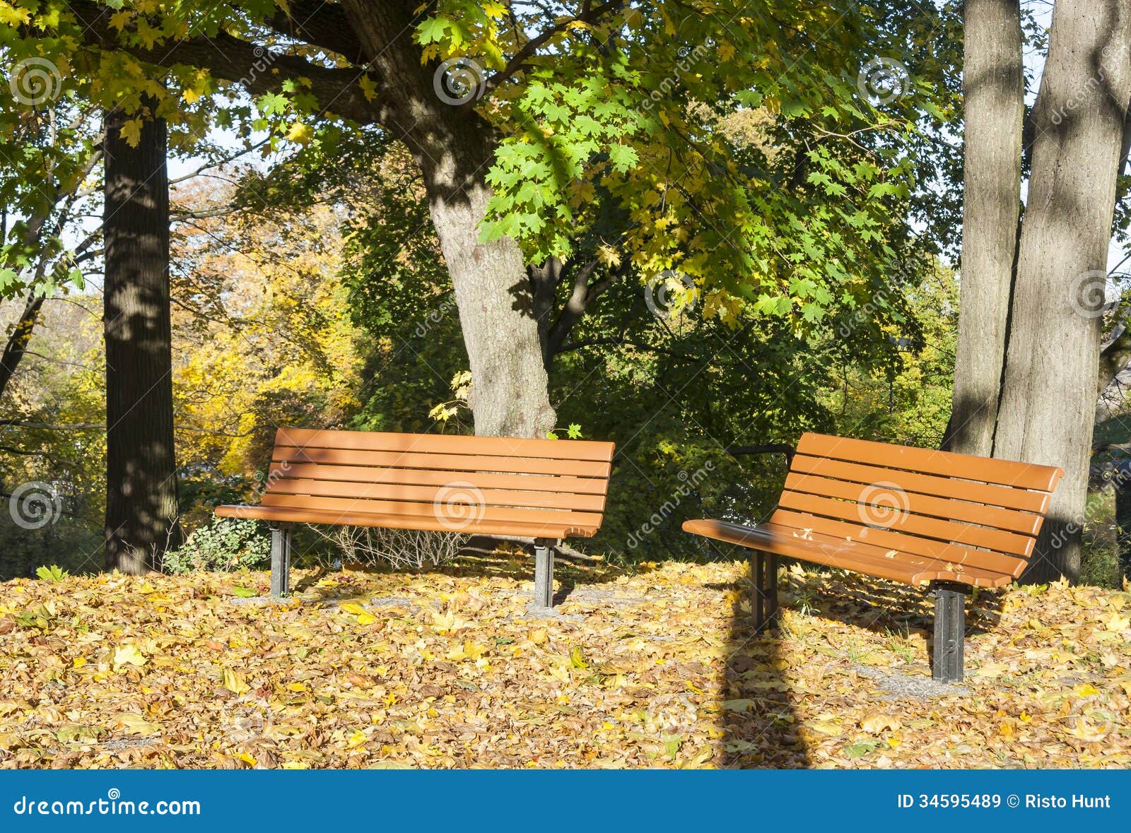 Park benches in autumn stock image. Image of bench, park - 34595489