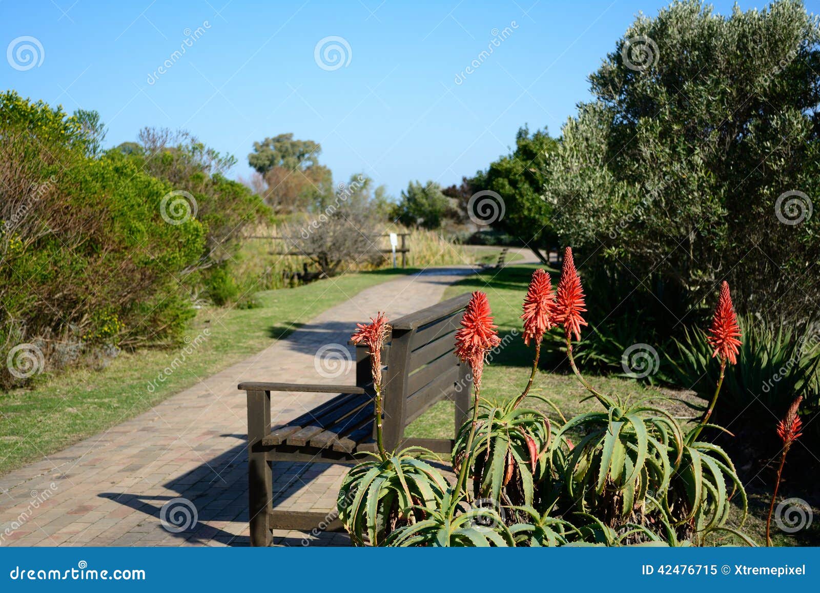Park Benches Besides a Walkway Stock Image - Image of walkway, flower ...