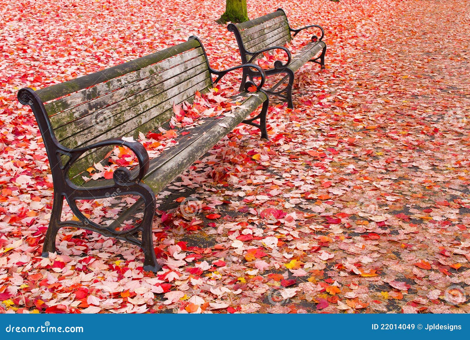 Park Benches in the Fall stock image. Image of fall, foliage - 22014049