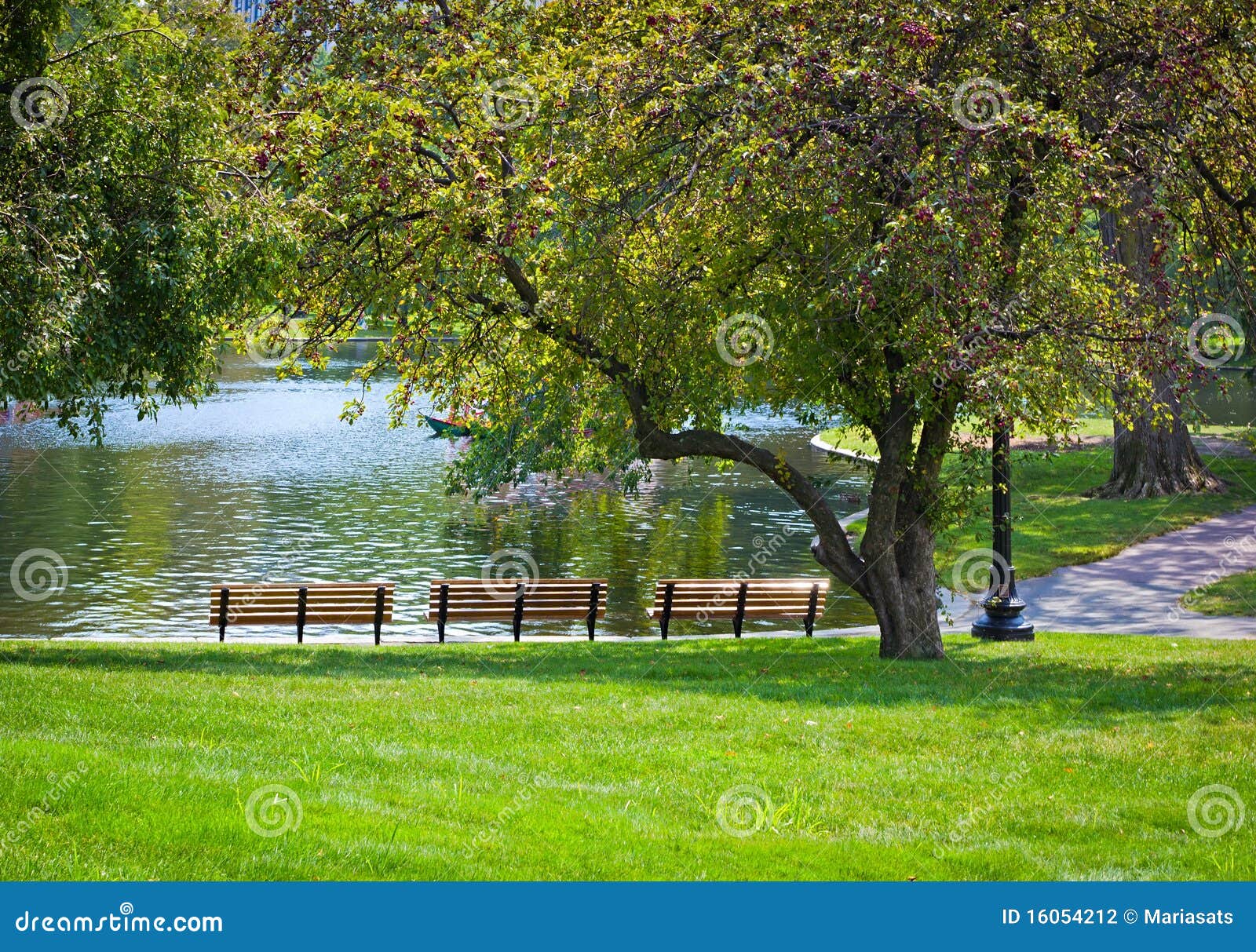 Park Benches In Front Of Pond Stock Photography - Image: 16054212